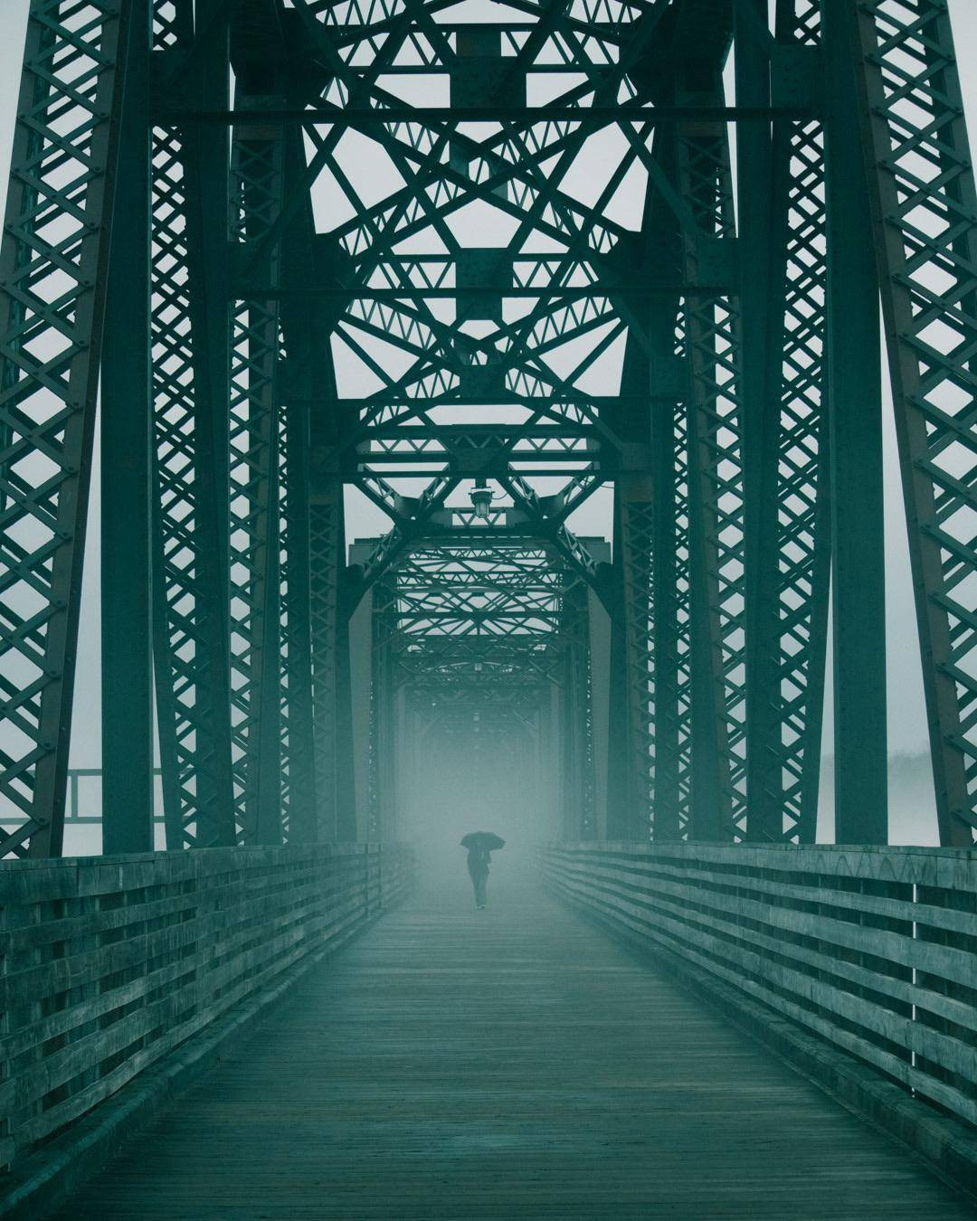 Foggy morning | Scrolller