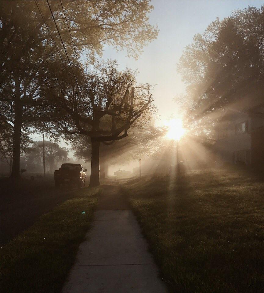 foggy path to the bus stop | Scrolller
