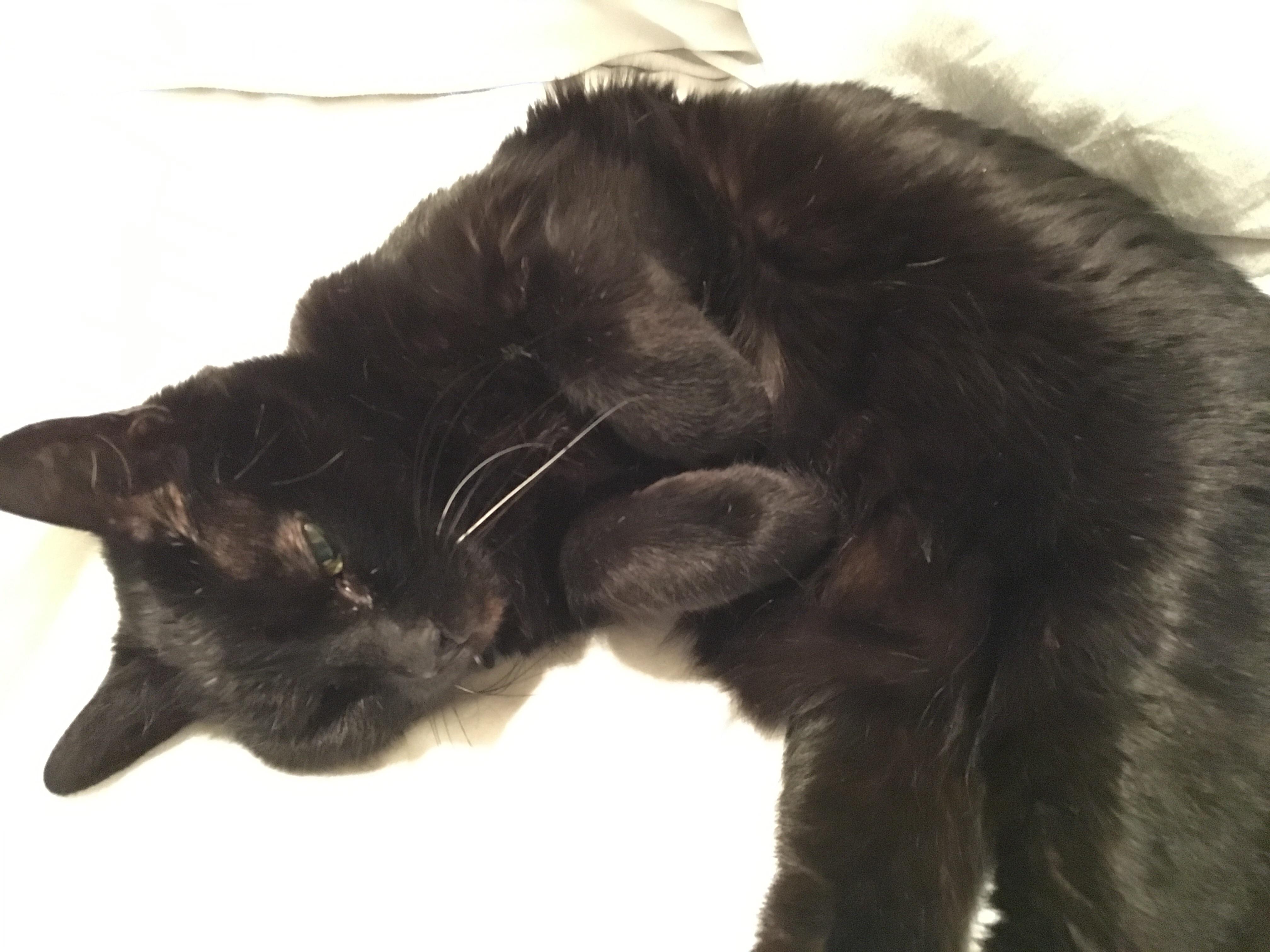 Folded feetsies | Scrolller