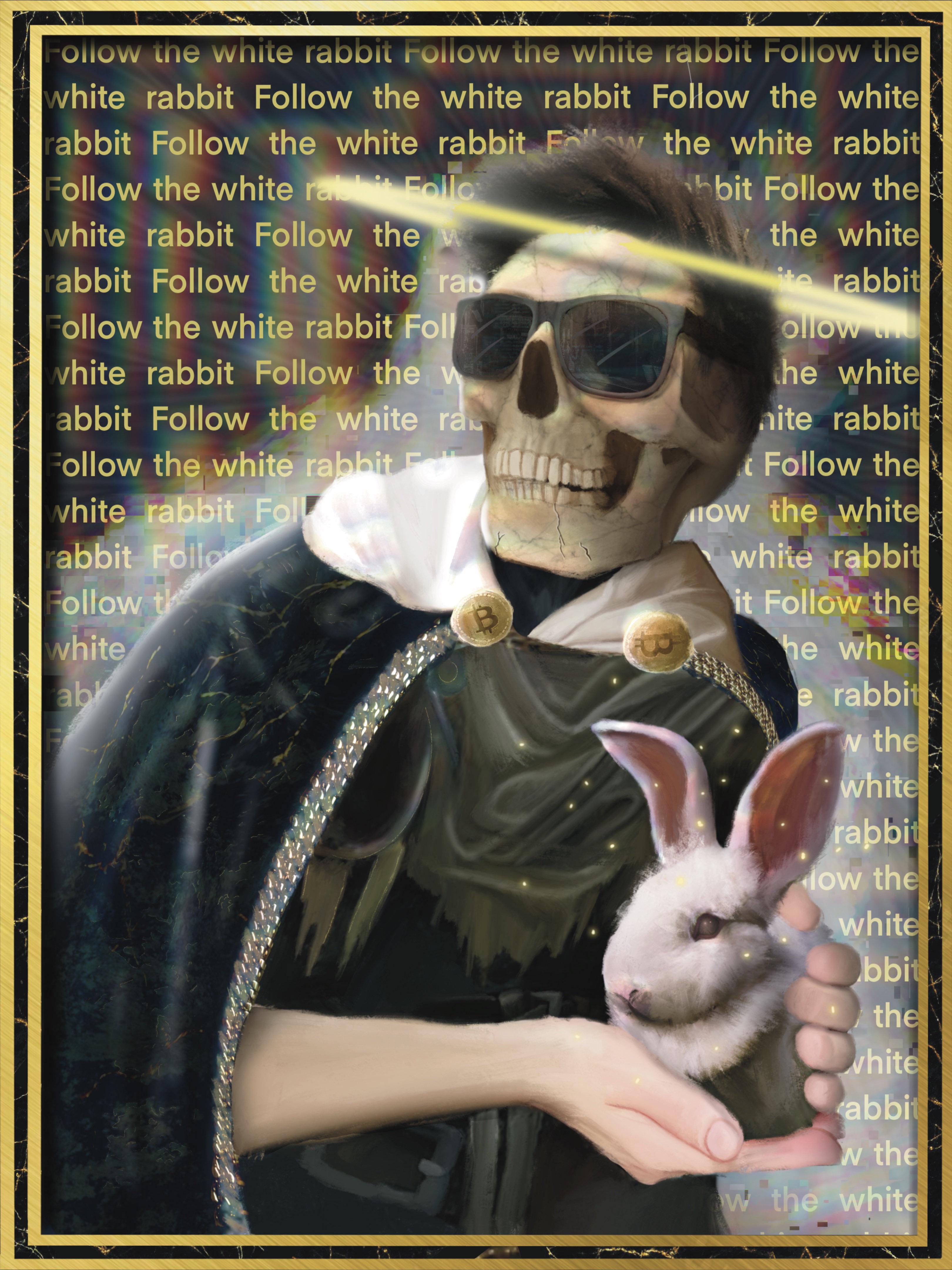 Follow the white rabbit | Scrolller