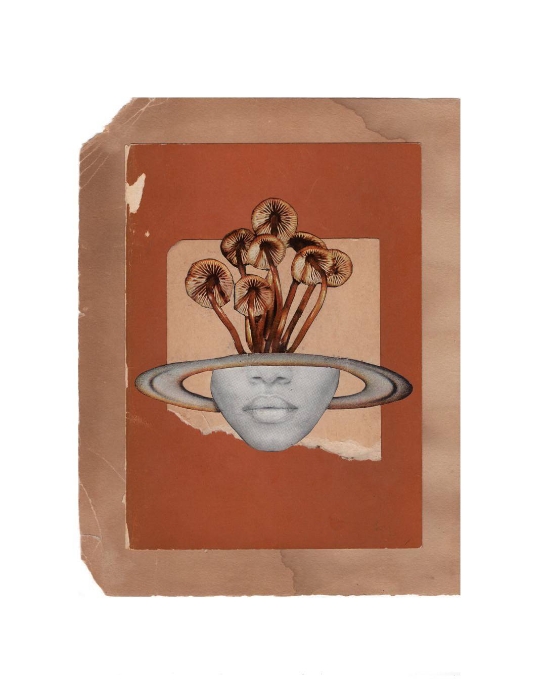 Food for Thought | Scrolller