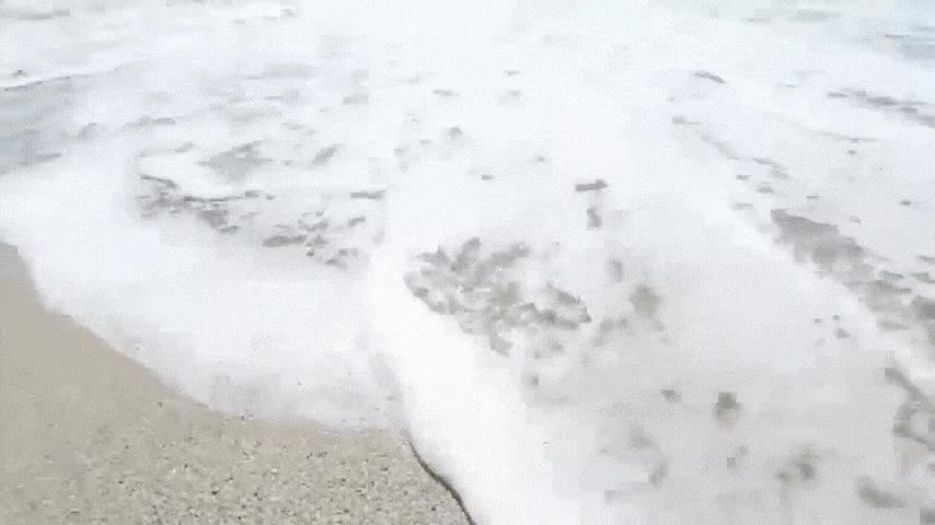 Footprints in the Sand | Scrolller