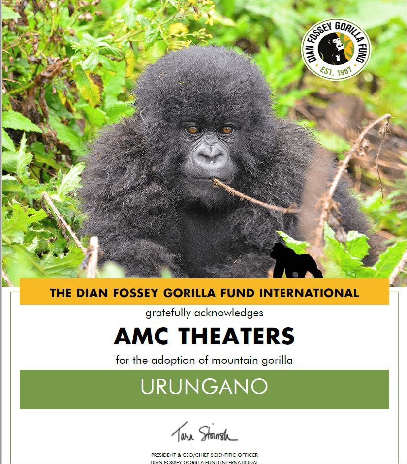 For all the Apes!!! | Scrolller