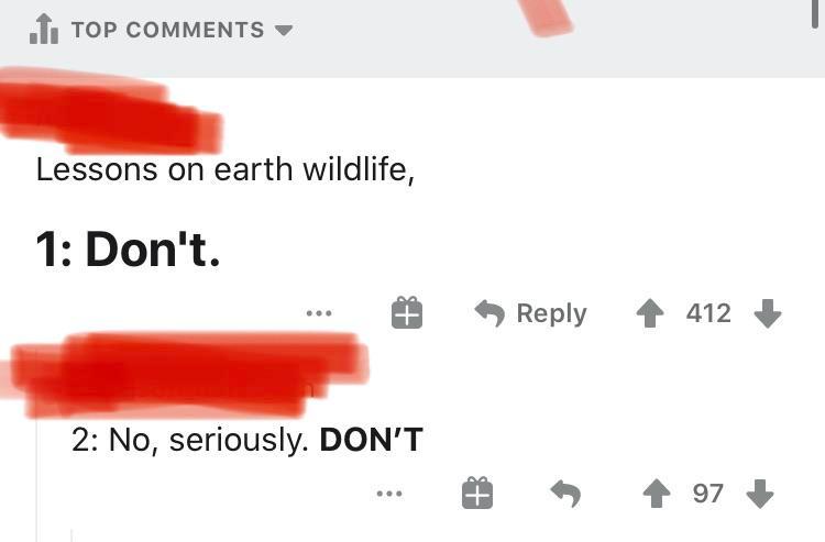 For real, don’t. | Scrolller