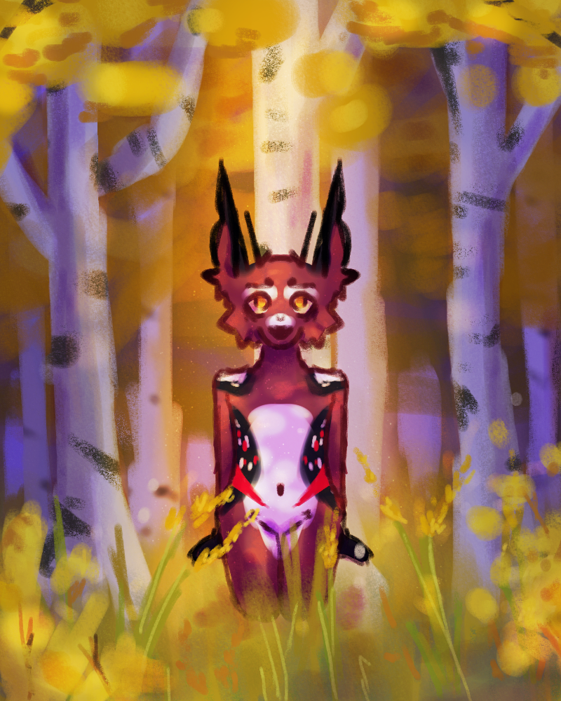 Forest moth | Scrolller