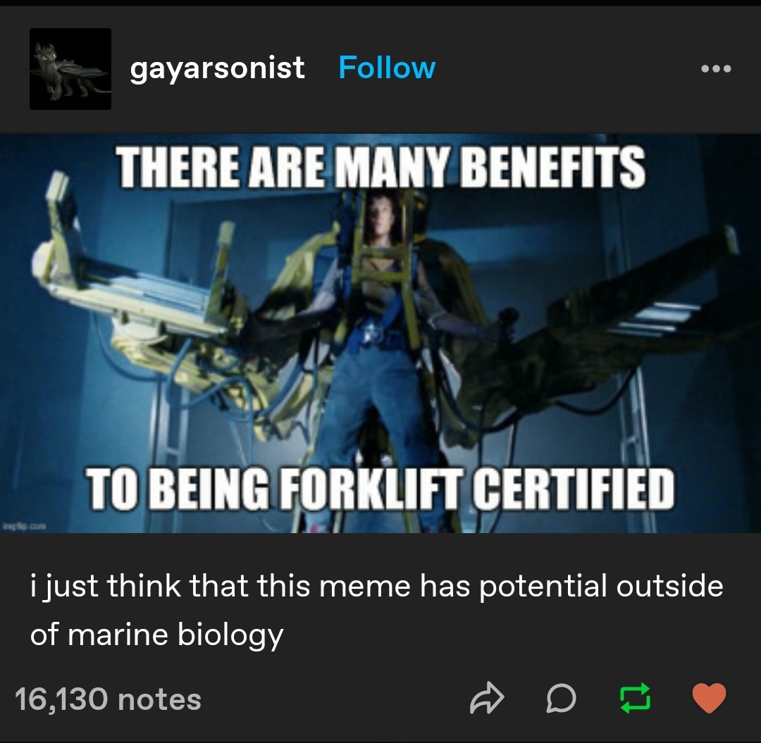 Forklift certification | Scrolller