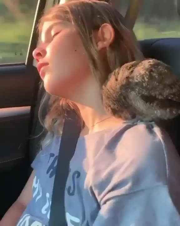 Found this | Scrolller