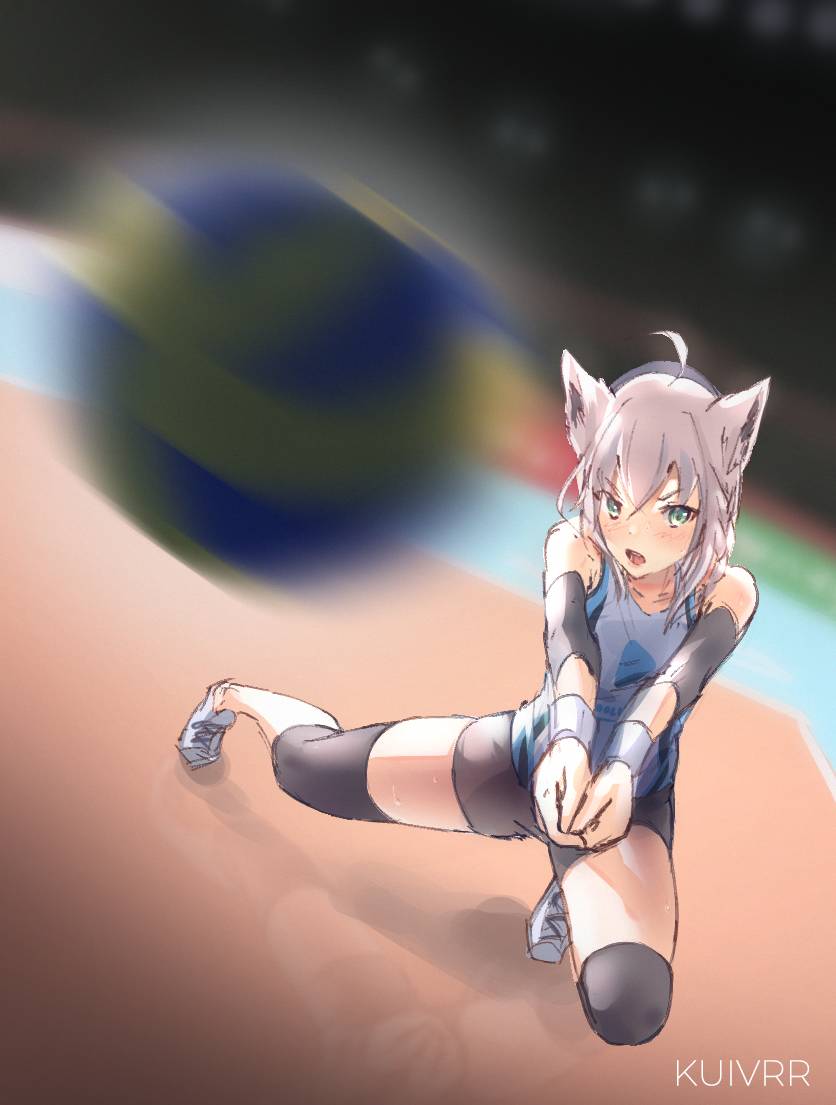 Fox Playing Volleyball | Scrolller