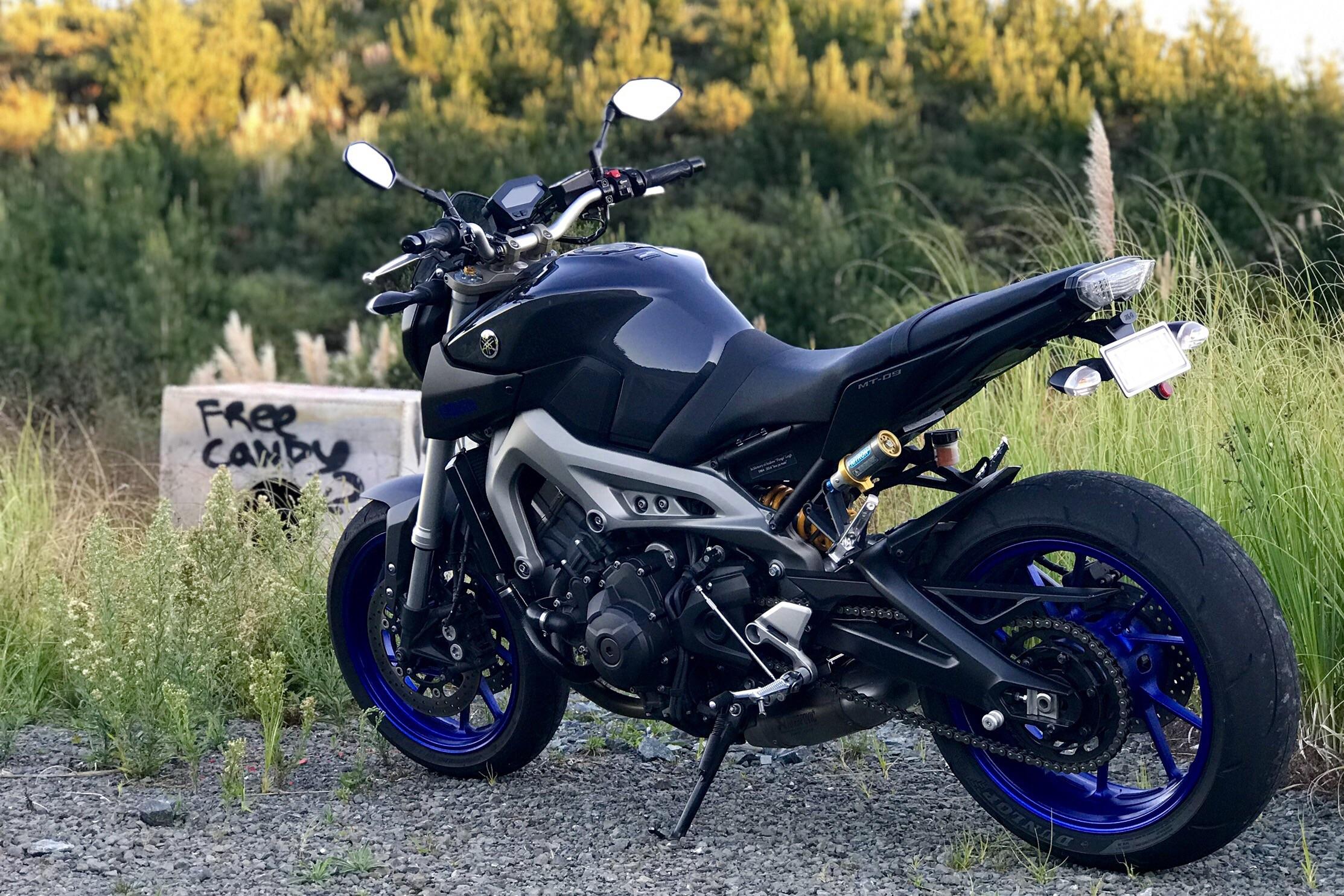 Free Candy! | Scrolller