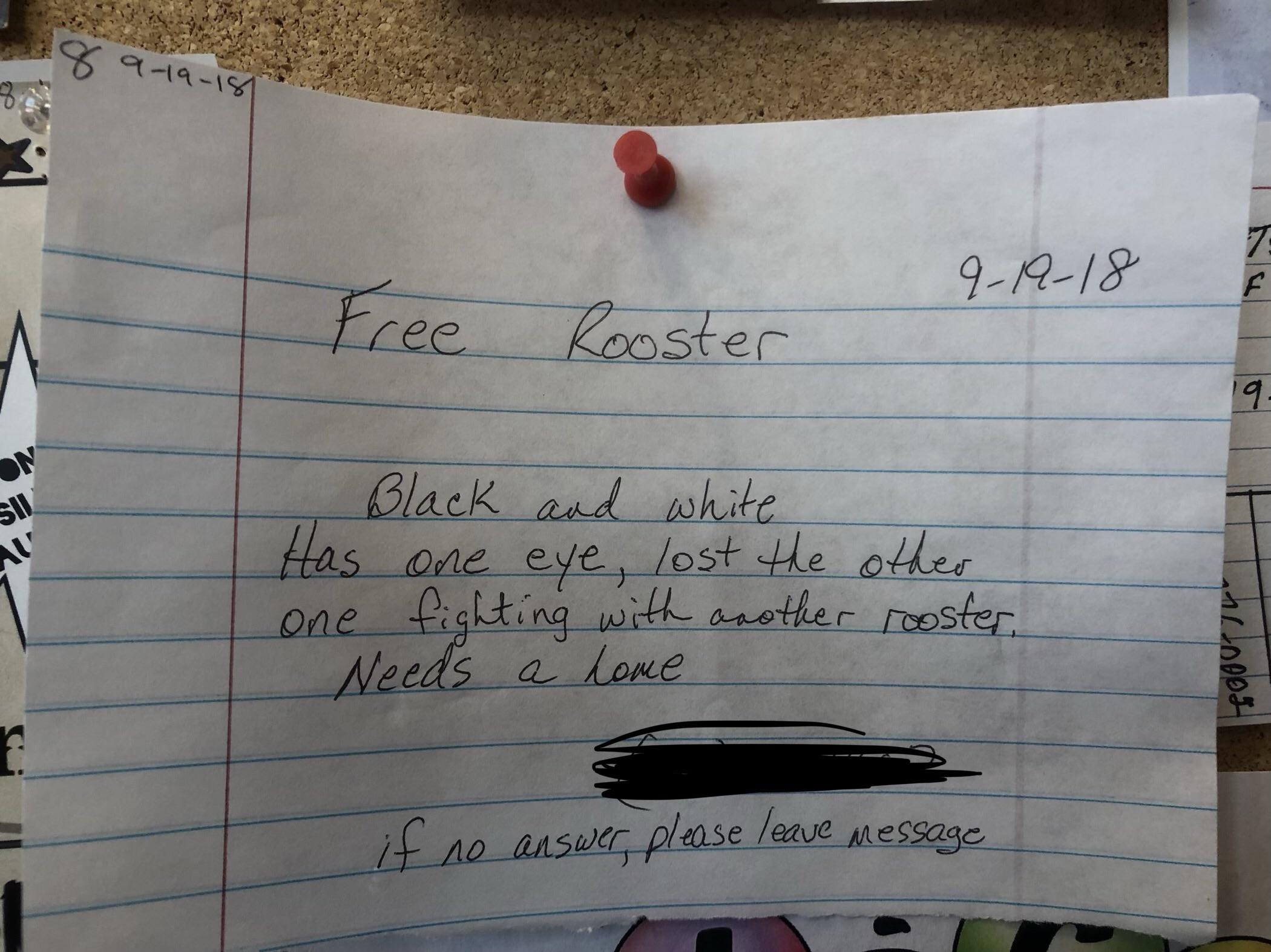 Free rooster. | Scrolller