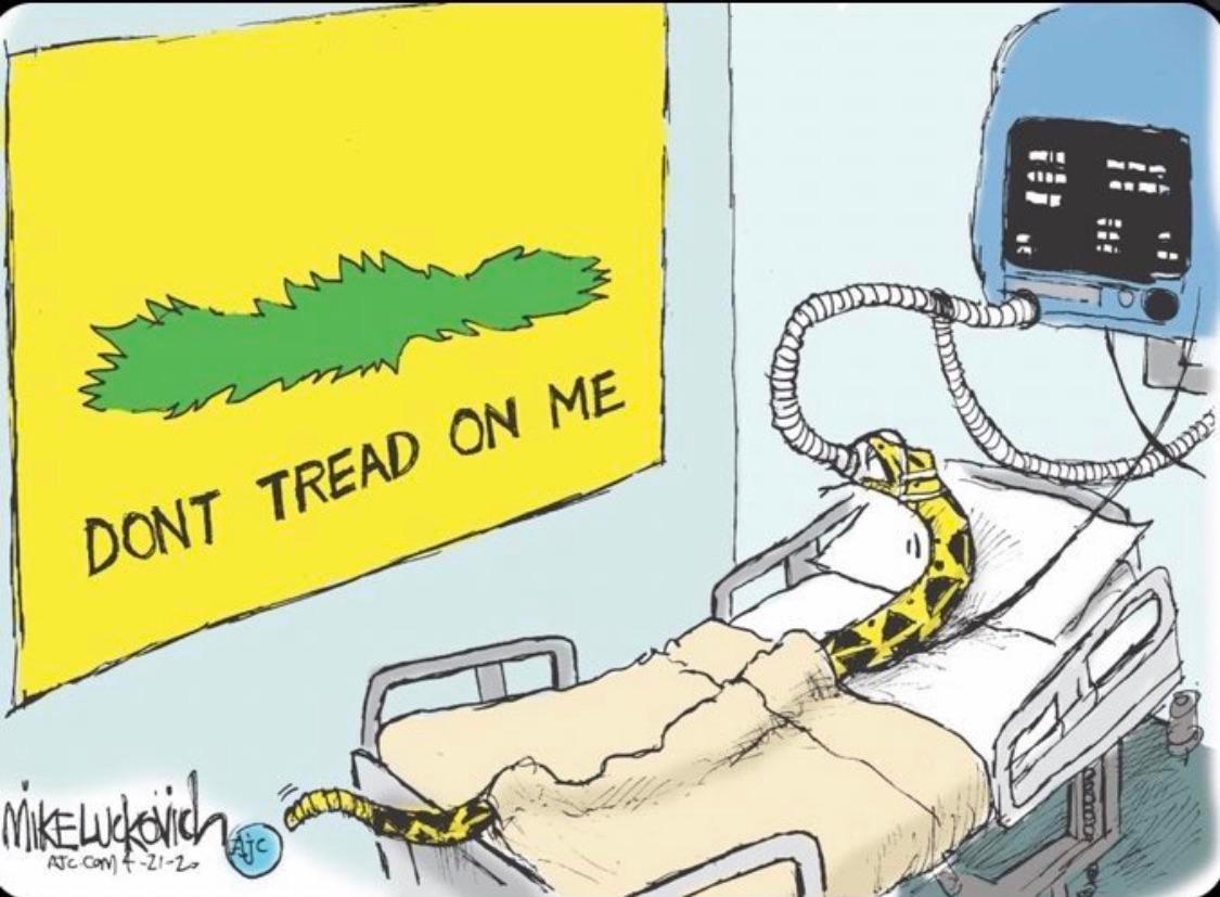 Freedom!!! | Scrolller