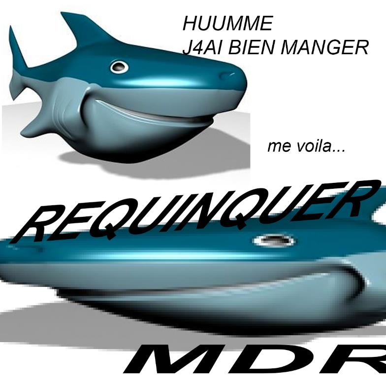 frere requin plutot original doe 😳😳 | Scrolller