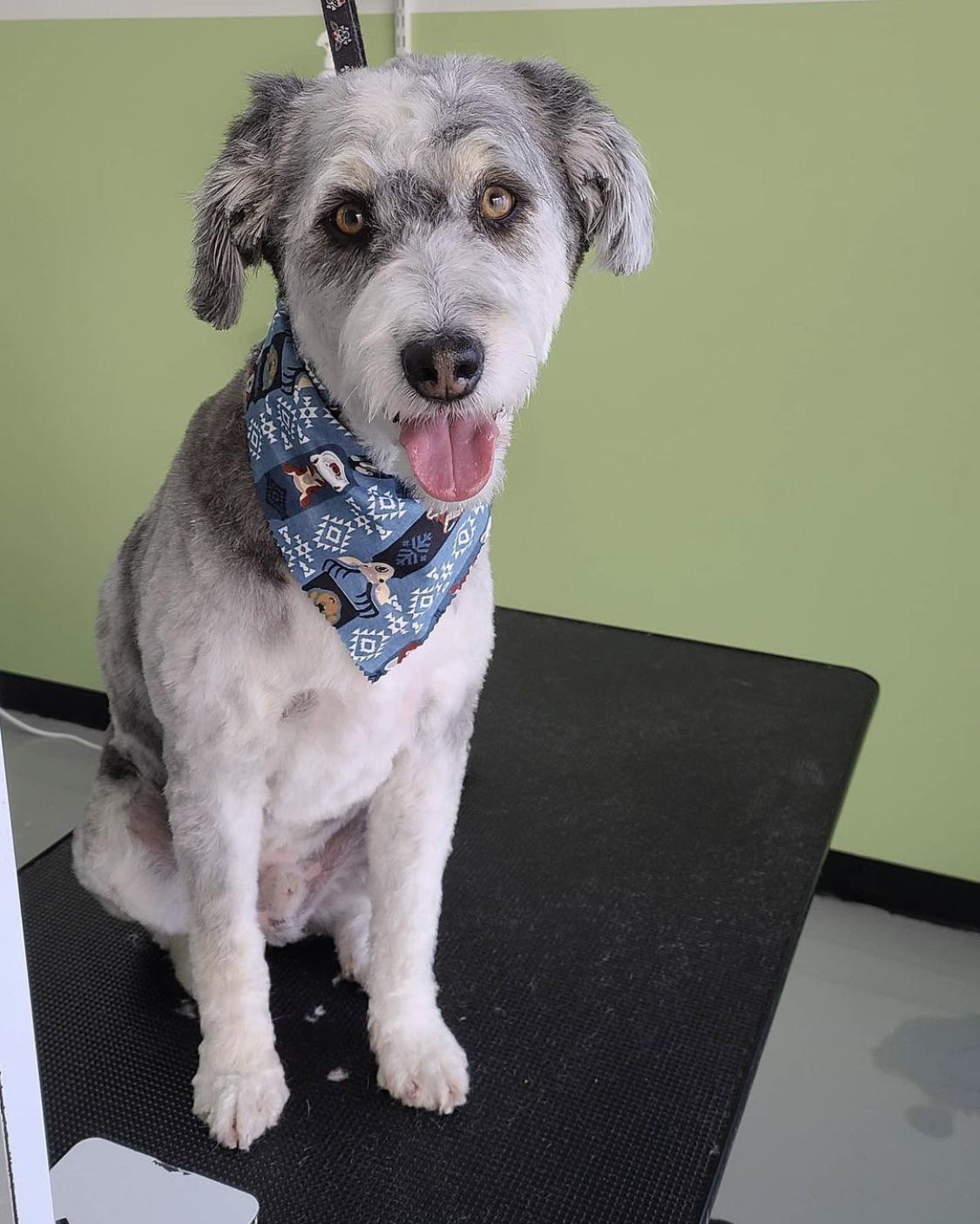 Fresh cut | Scrolller