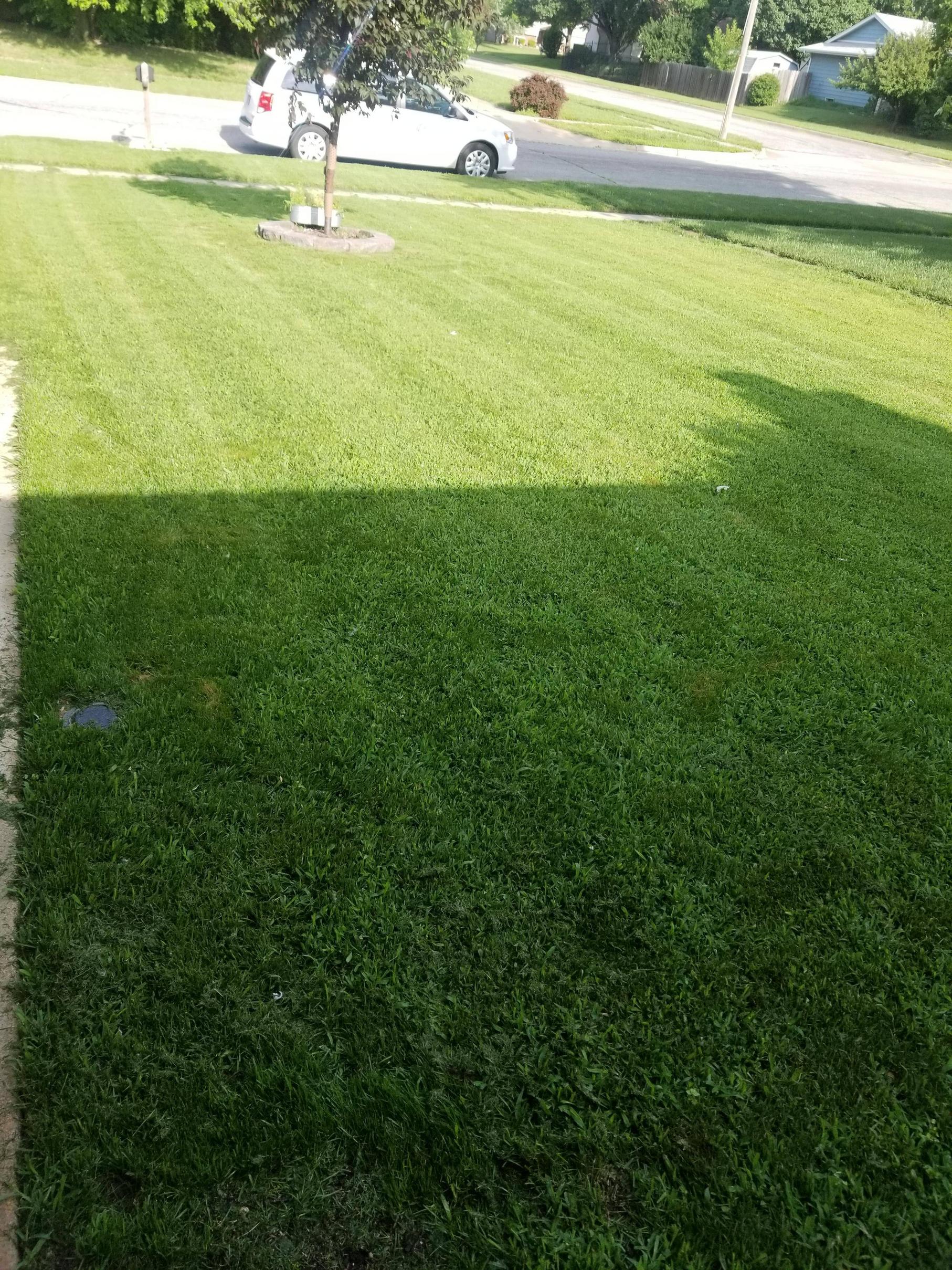 Fresh lawn came in nice | Scrolller