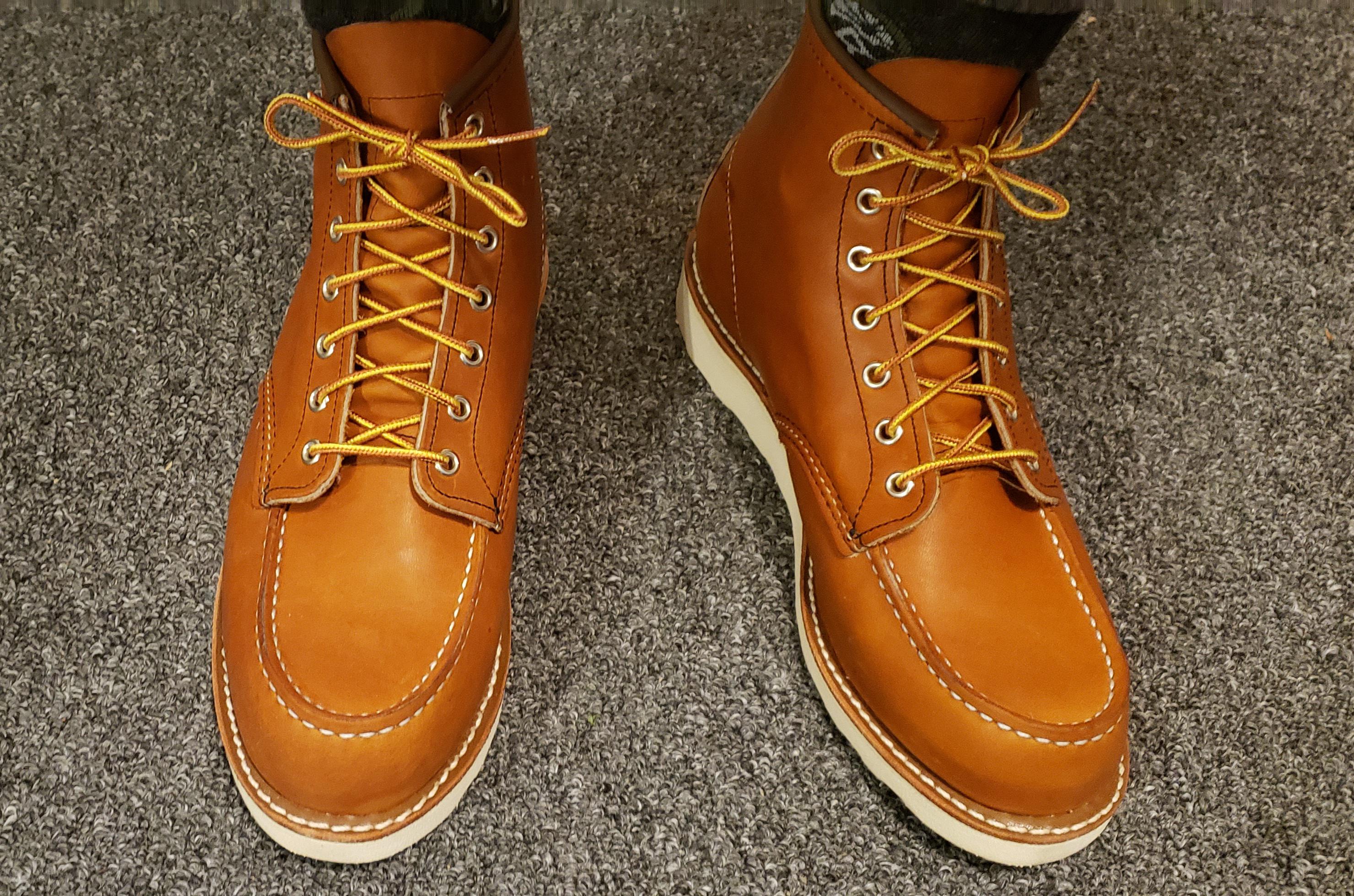 Fresh Out of the Box - 875 | Scrolller