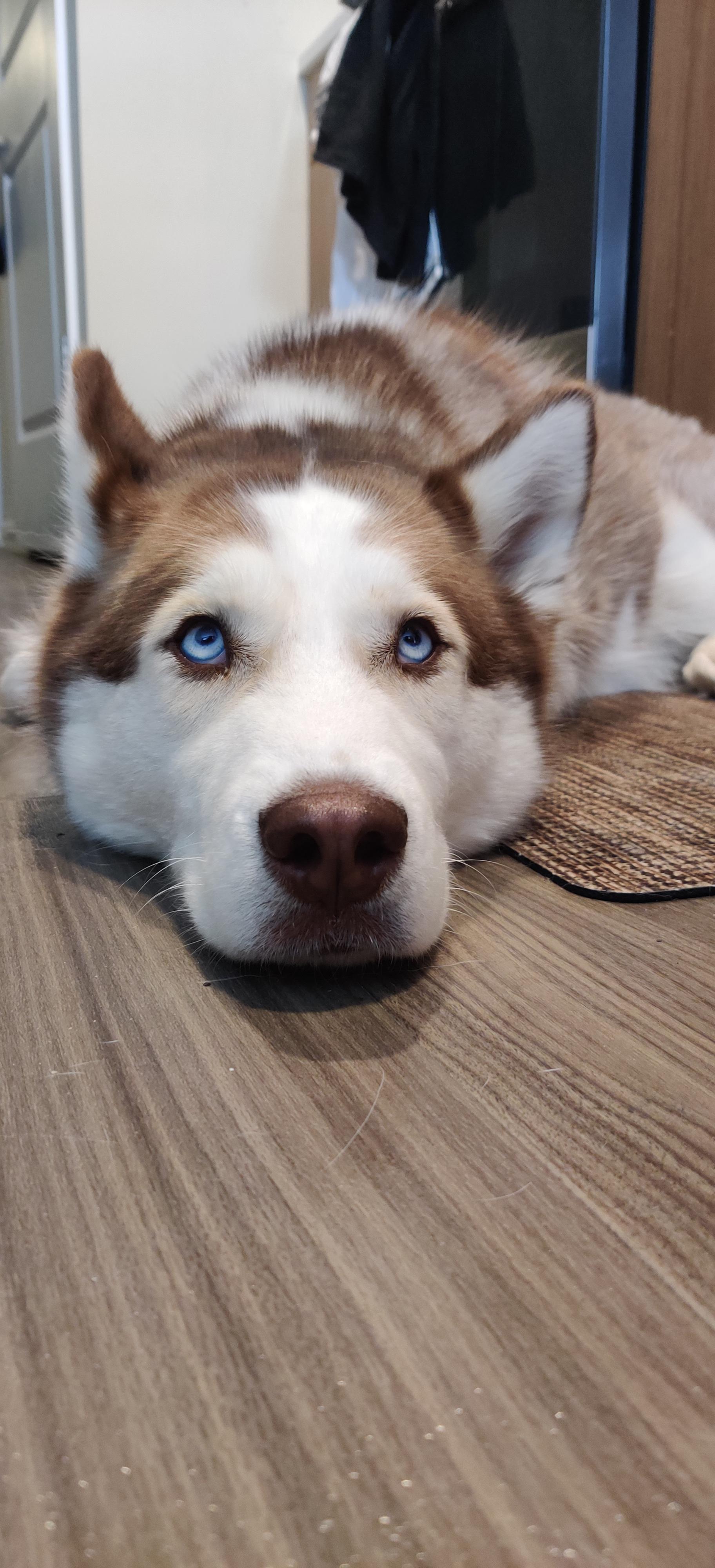 Fresh out the igloo | Scrolller