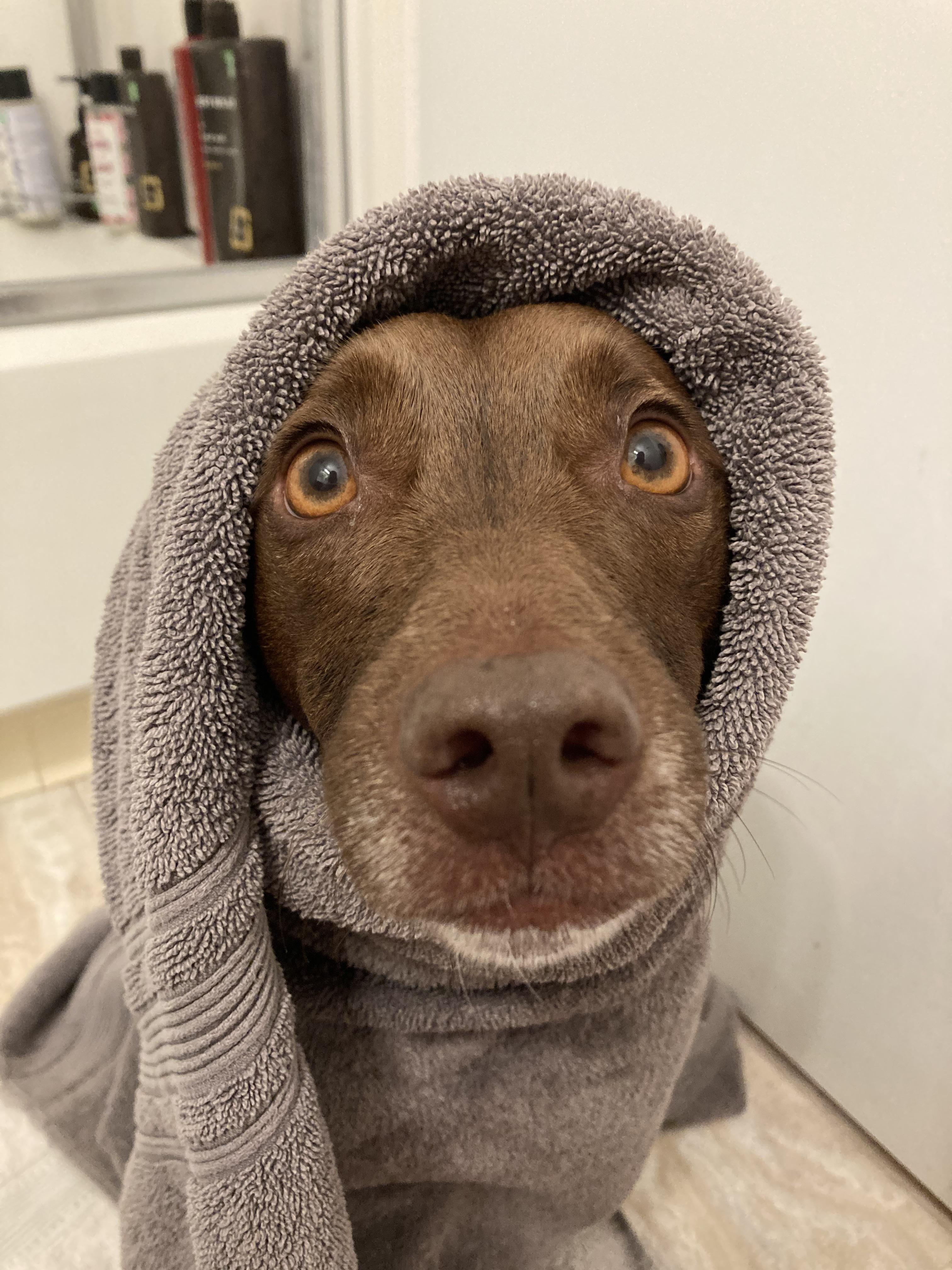 Fresh out the shower 🚿 | Scrolller