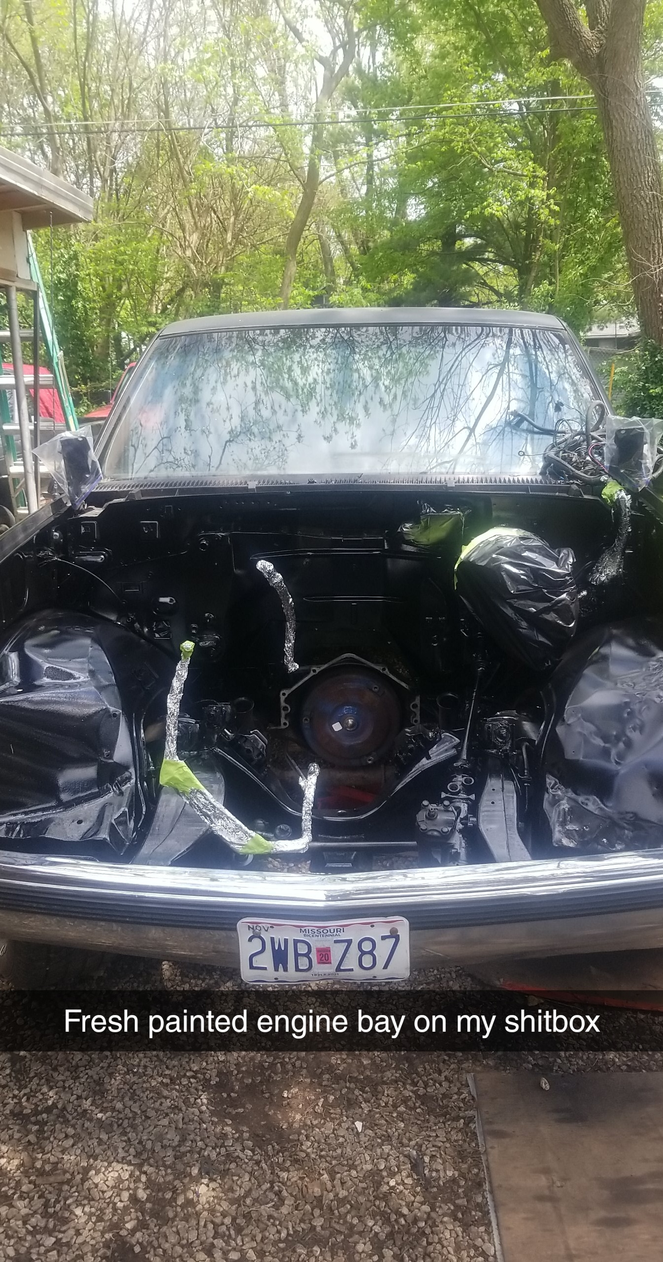 Fresh paint | Scrolller