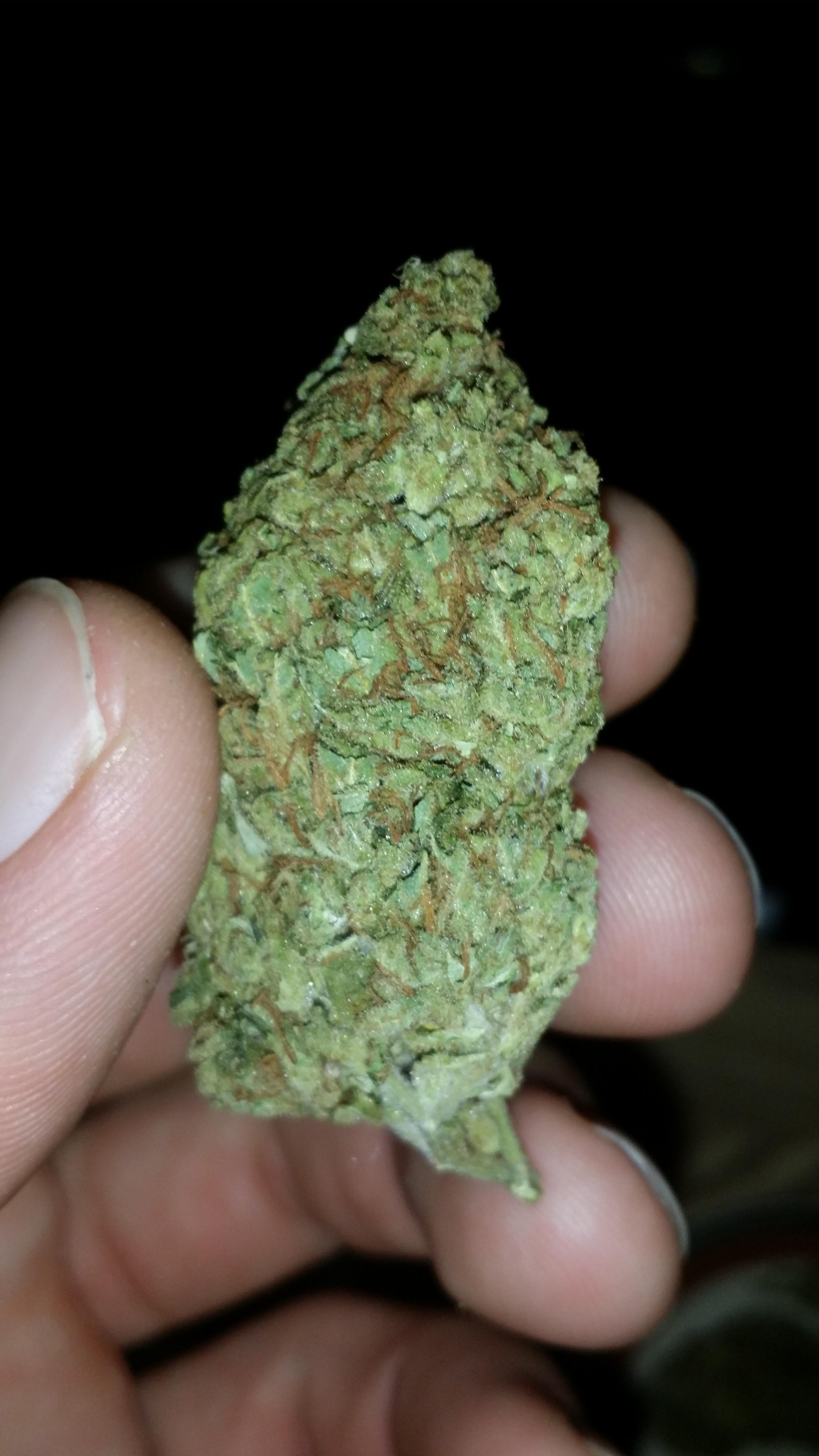 Fresh pickup! | Scrolller