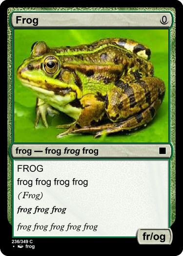 Frog | Scrolller