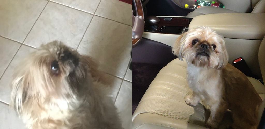 From absolute unit to strapping young lady | Scrolller