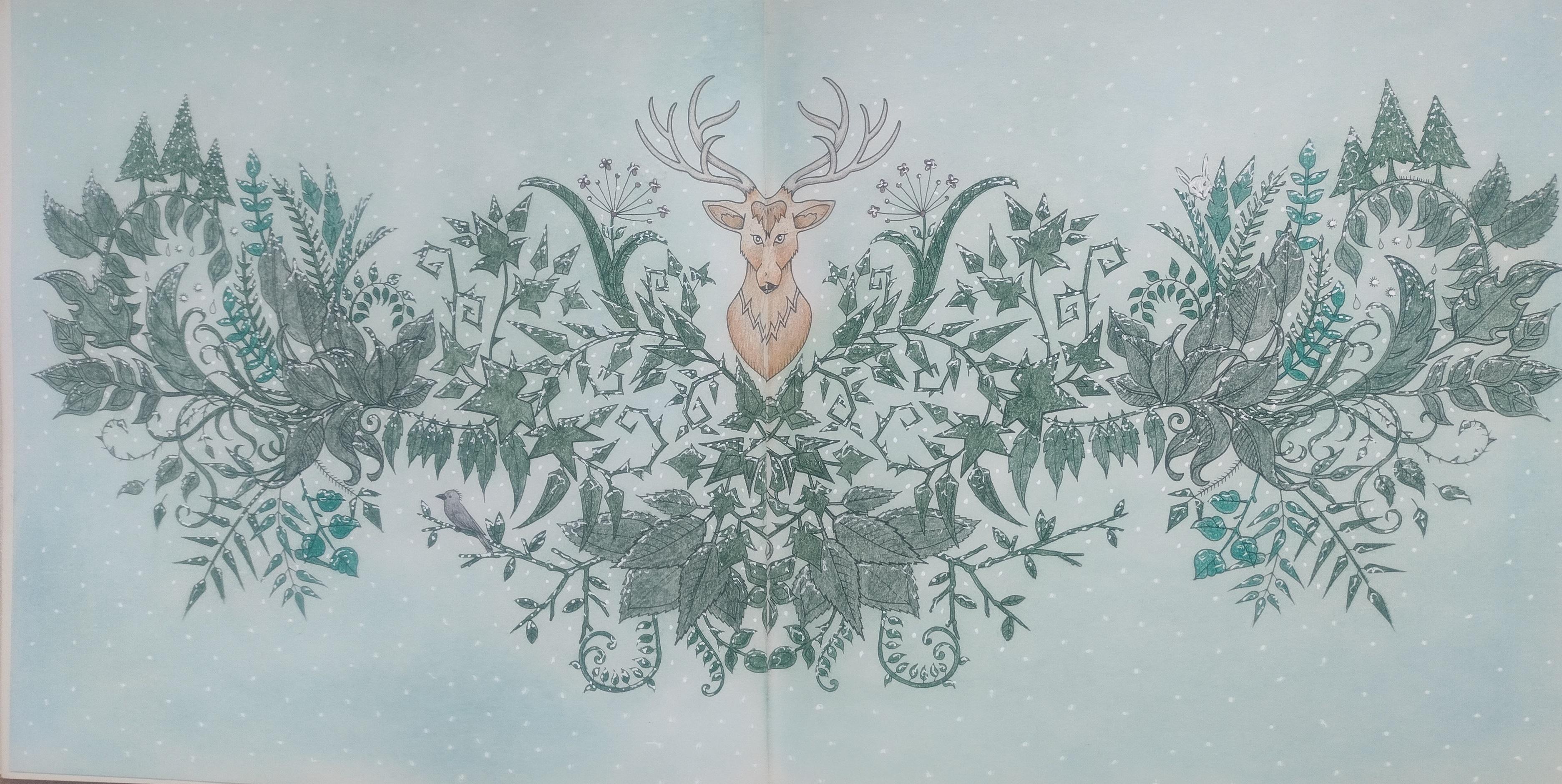 From Enchanted Forest by Johanna Basford | Scrolller