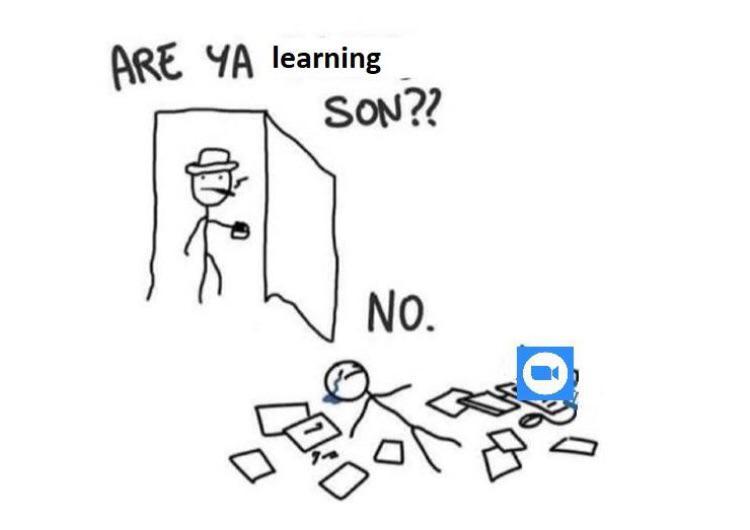 From r/Cornell 🙈 | Scrolller