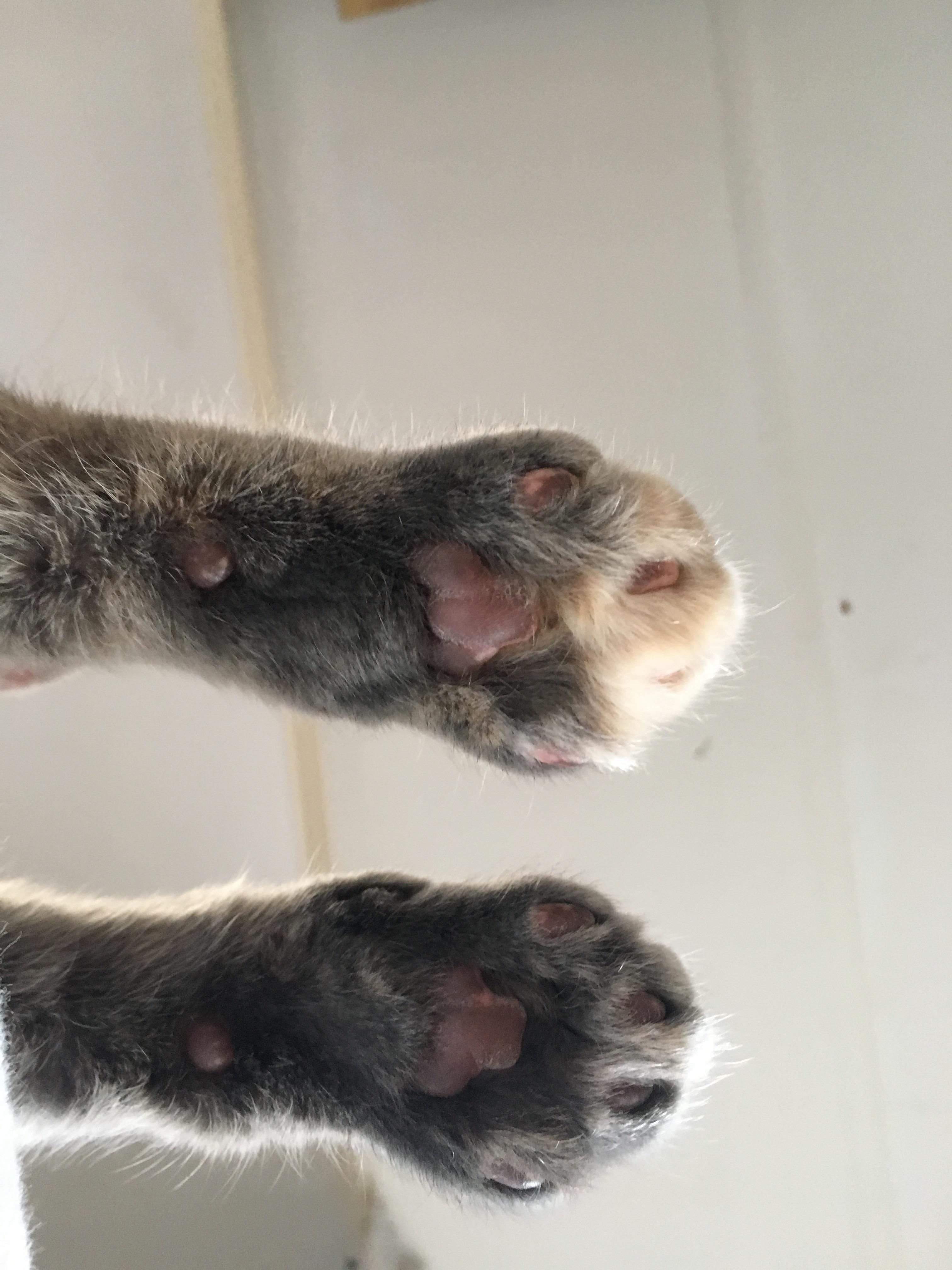 From underneath | Scrolller