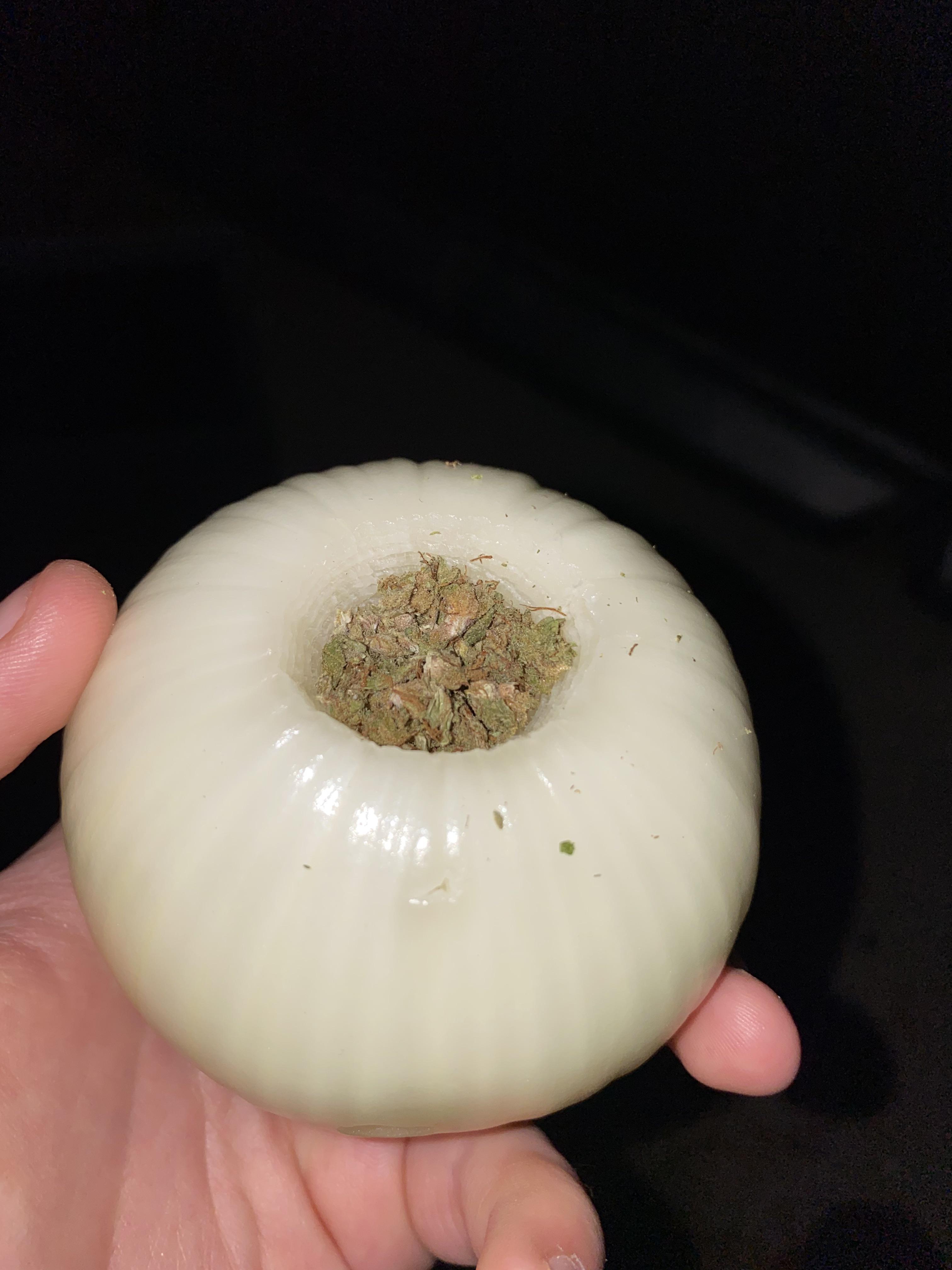 Fuck it. Onion pipe. | Scrolller