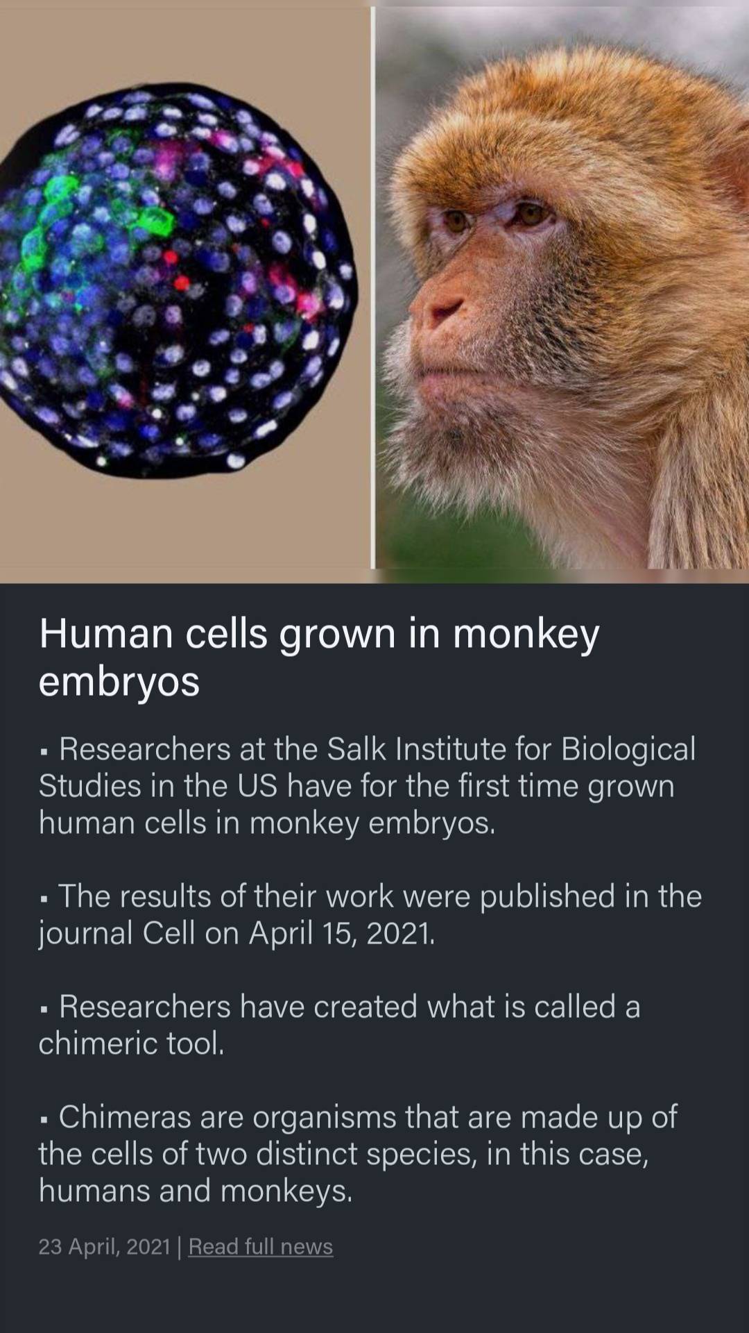 Fuck it, return to monke. | Scrolller