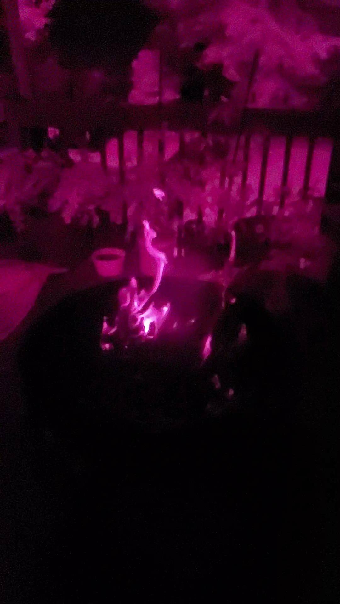 Infrared fire | Scrolller