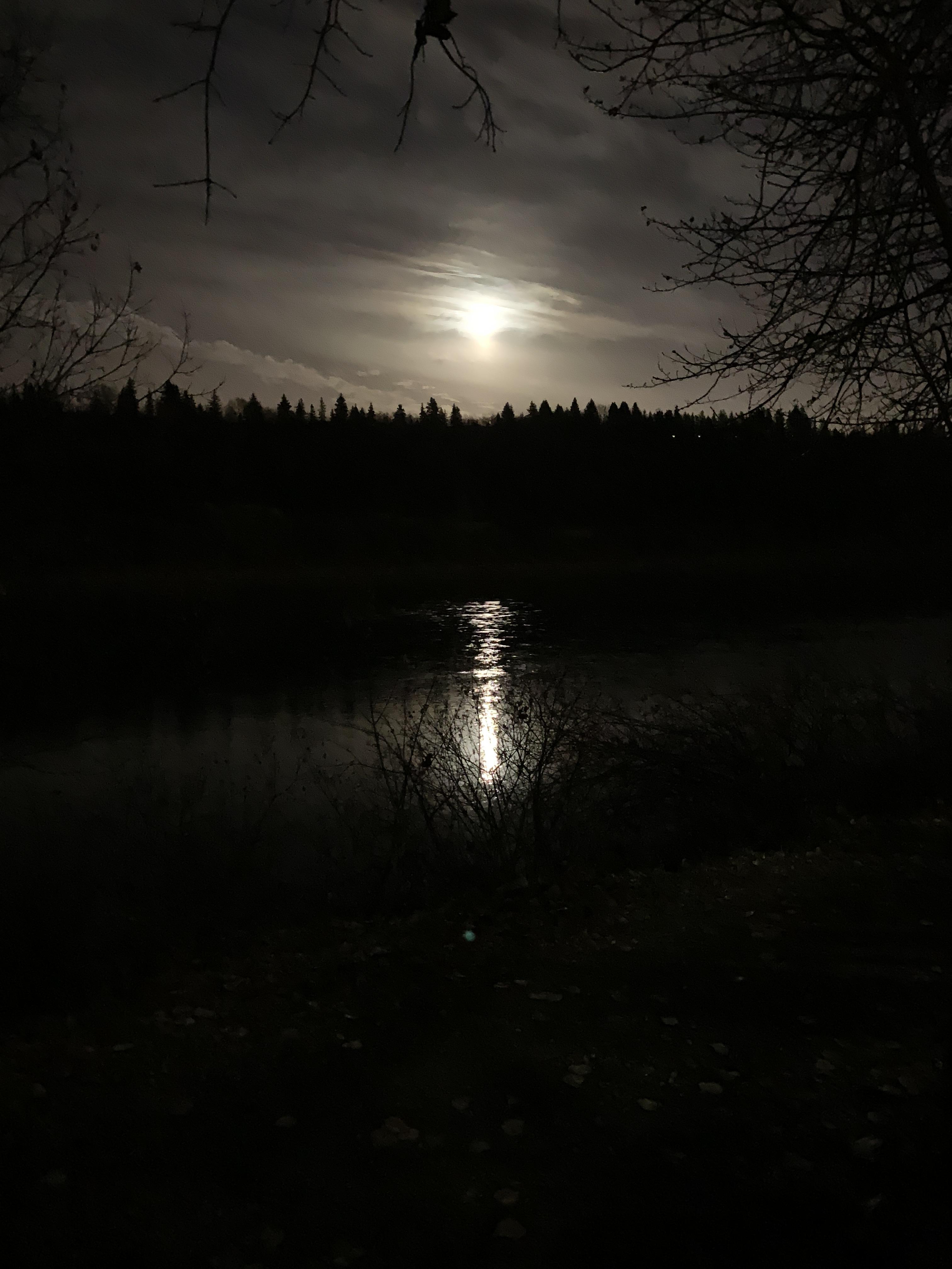 Full moon | Scrolller