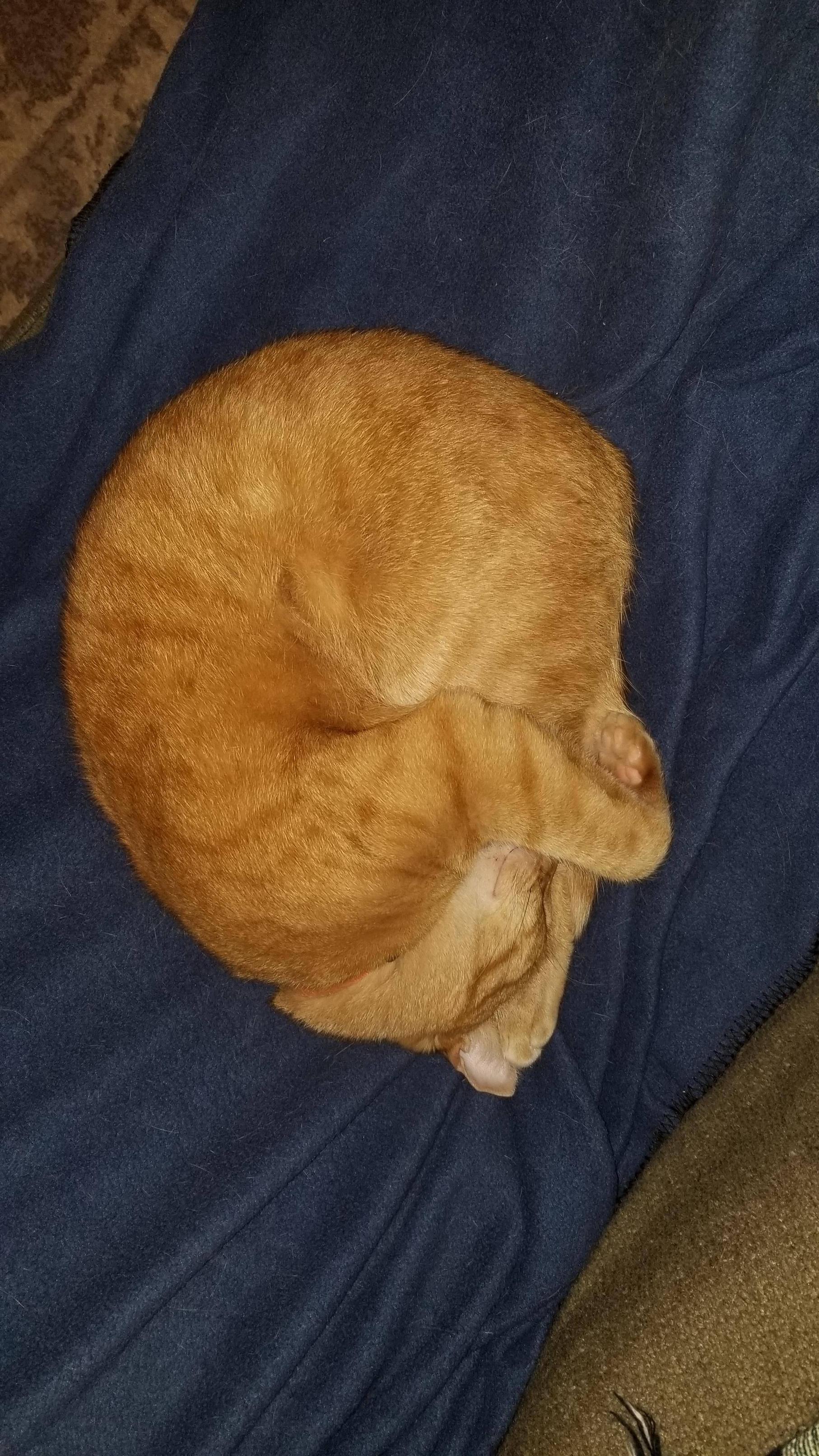 Full tuck | Scrolller