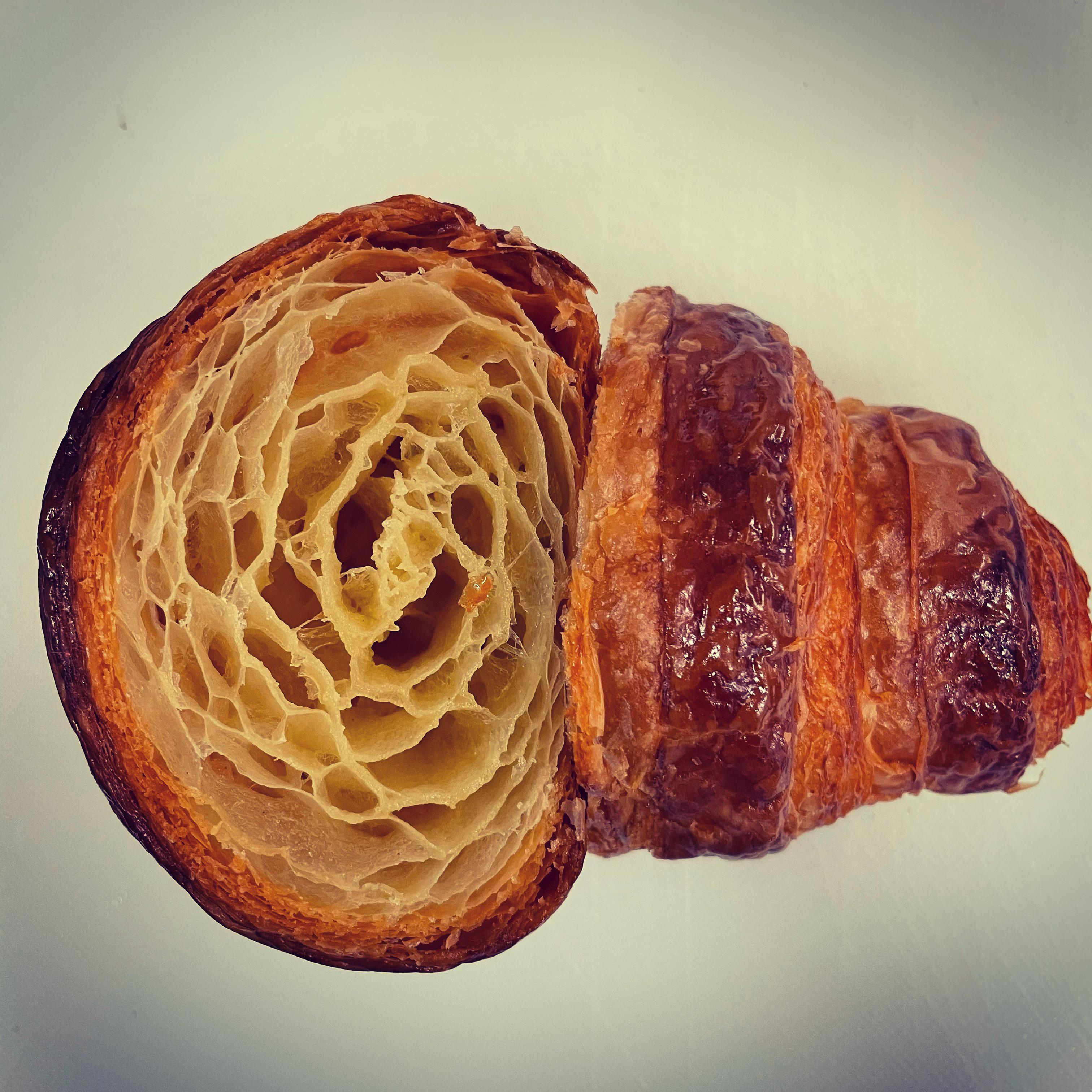 Fully Clogged Artery | Scrolller