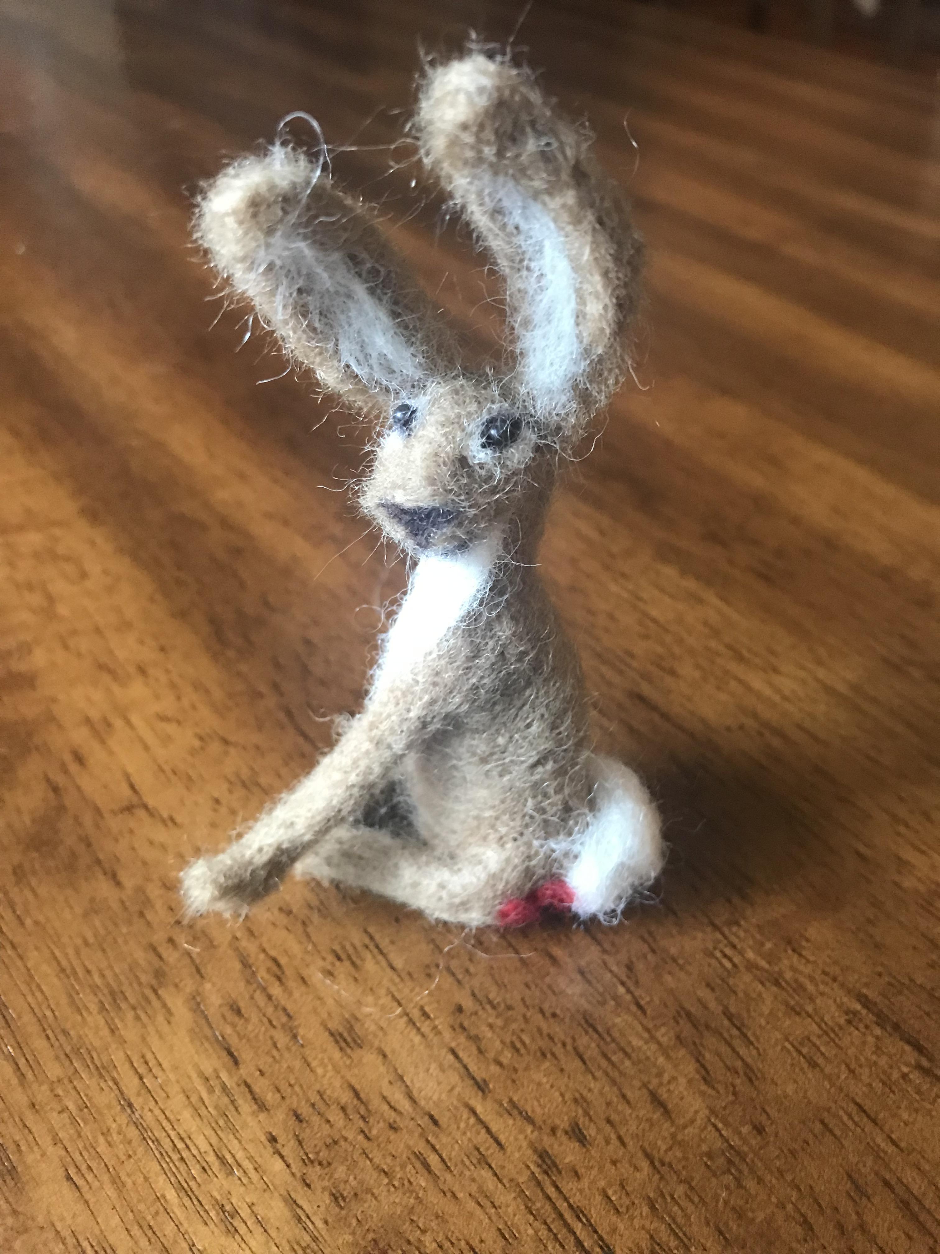 Fun with rabbits! | Scrolller