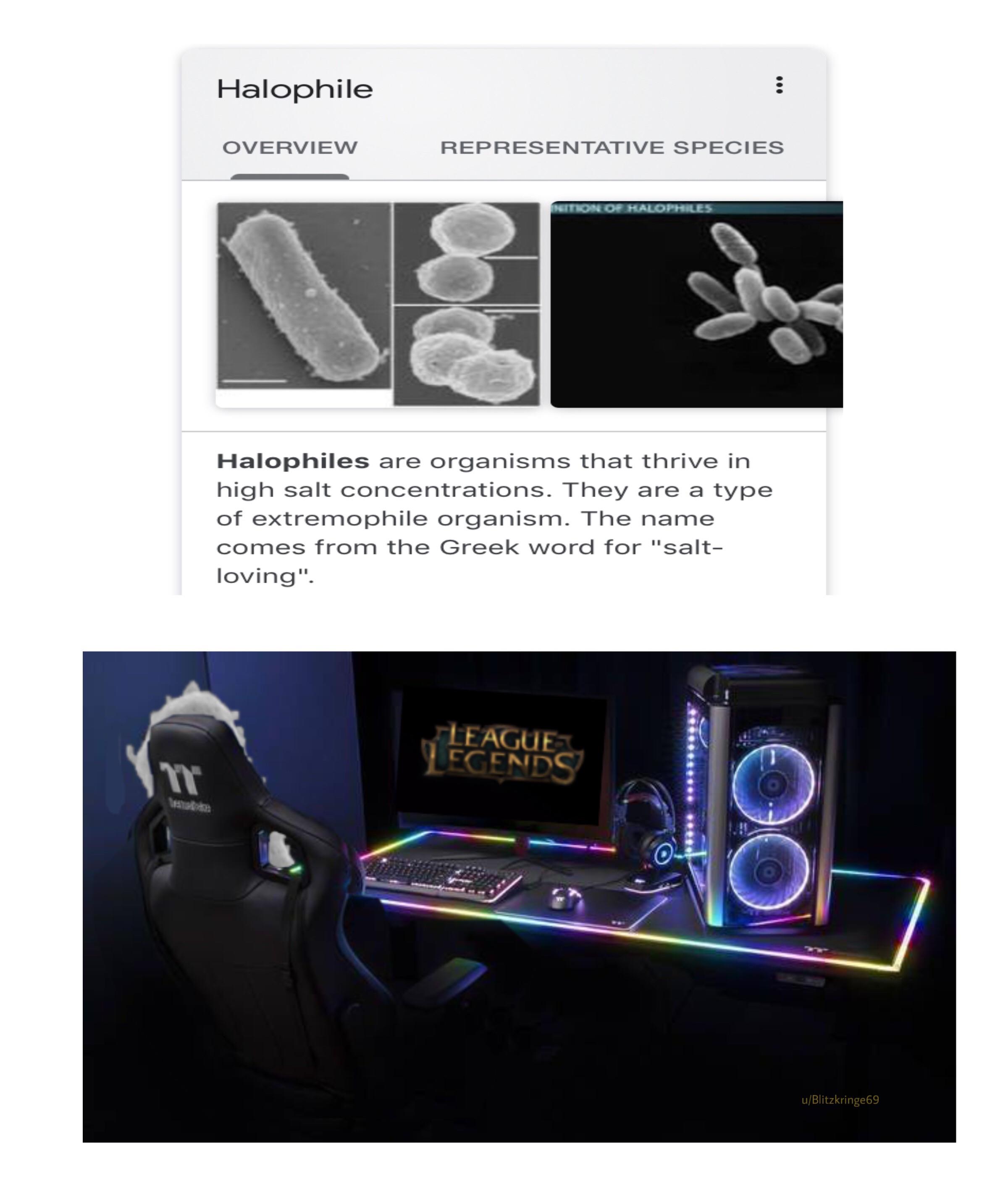 Funny gamer maymay amirite haha | Scrolller