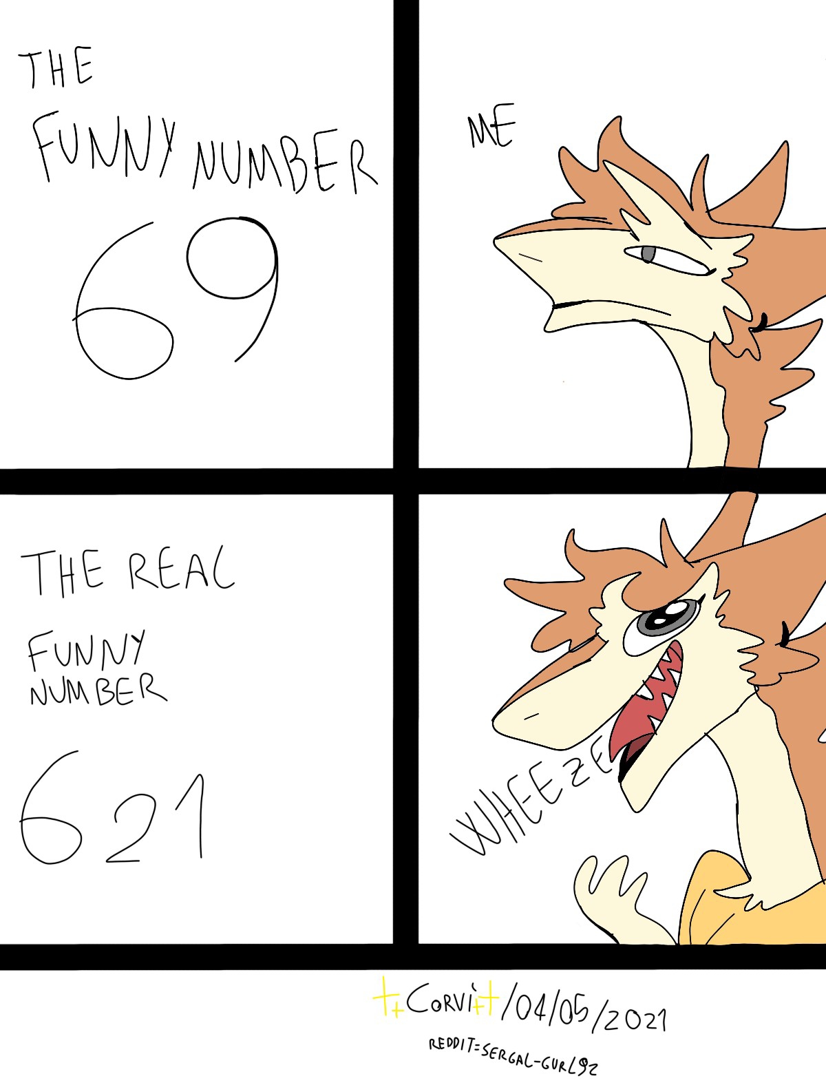 Funny_irl | Scrolller