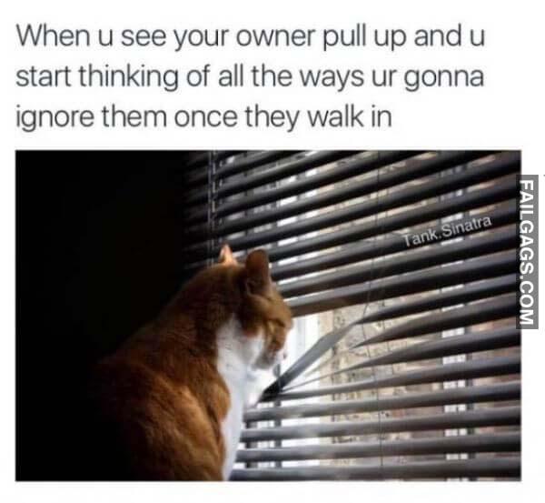 funny memes | Scrolller