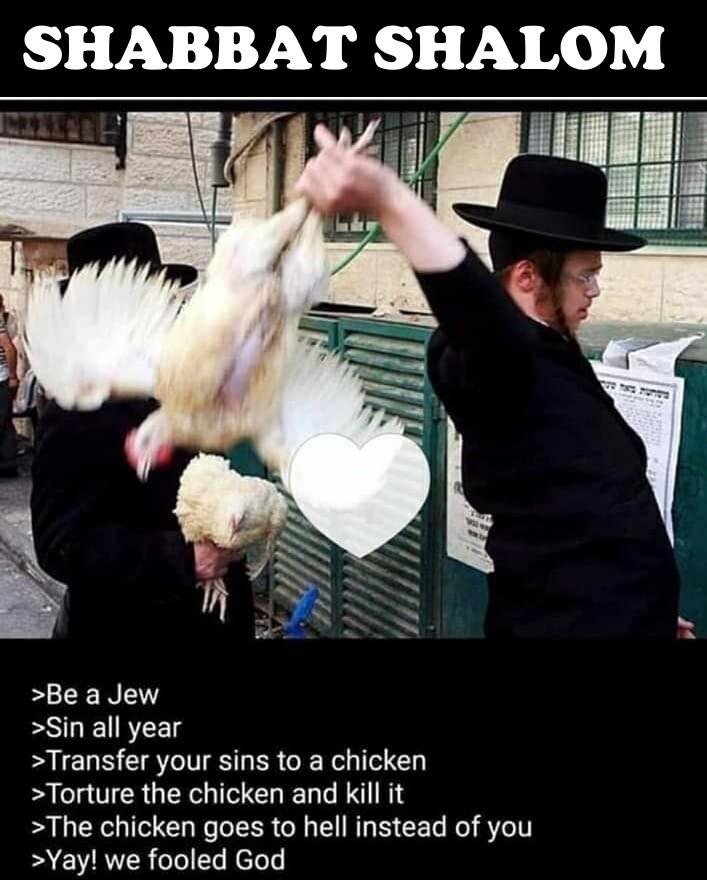 Funny title | Scrolller