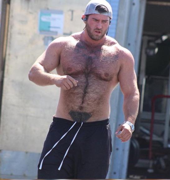 Furry chest | Scrolller