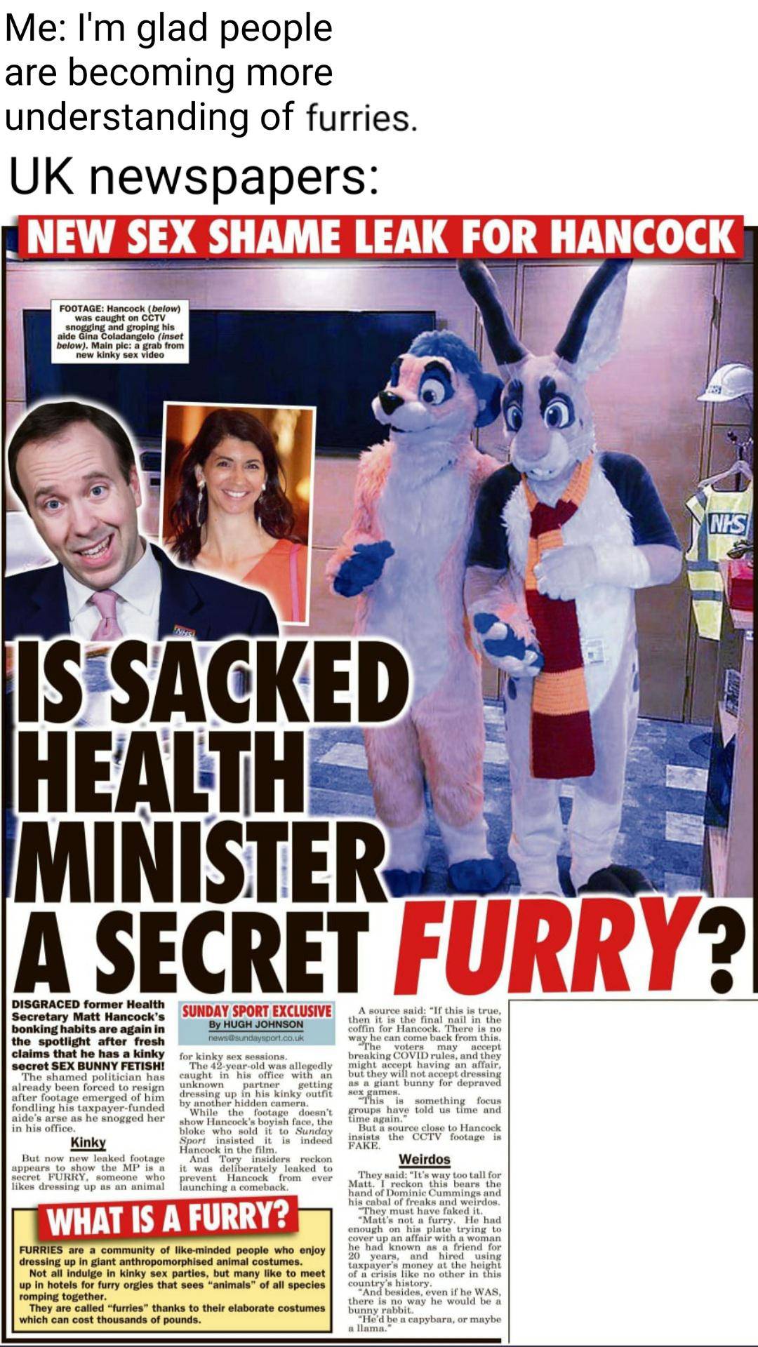 Furry_irl | Scrolller