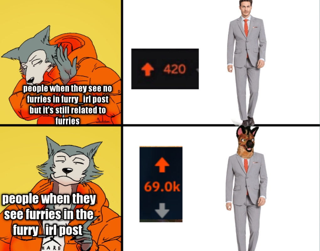 Furry_irl | Scrolller