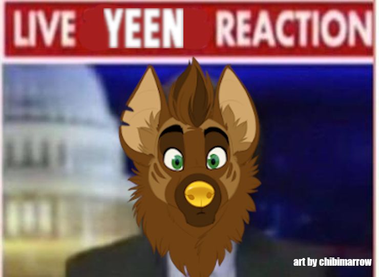 furry_irl | Scrolller