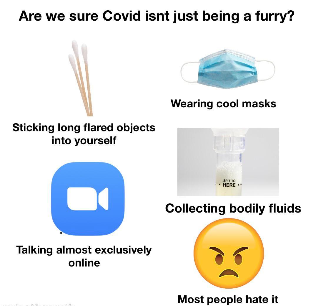 Furry_irl | Scrolller