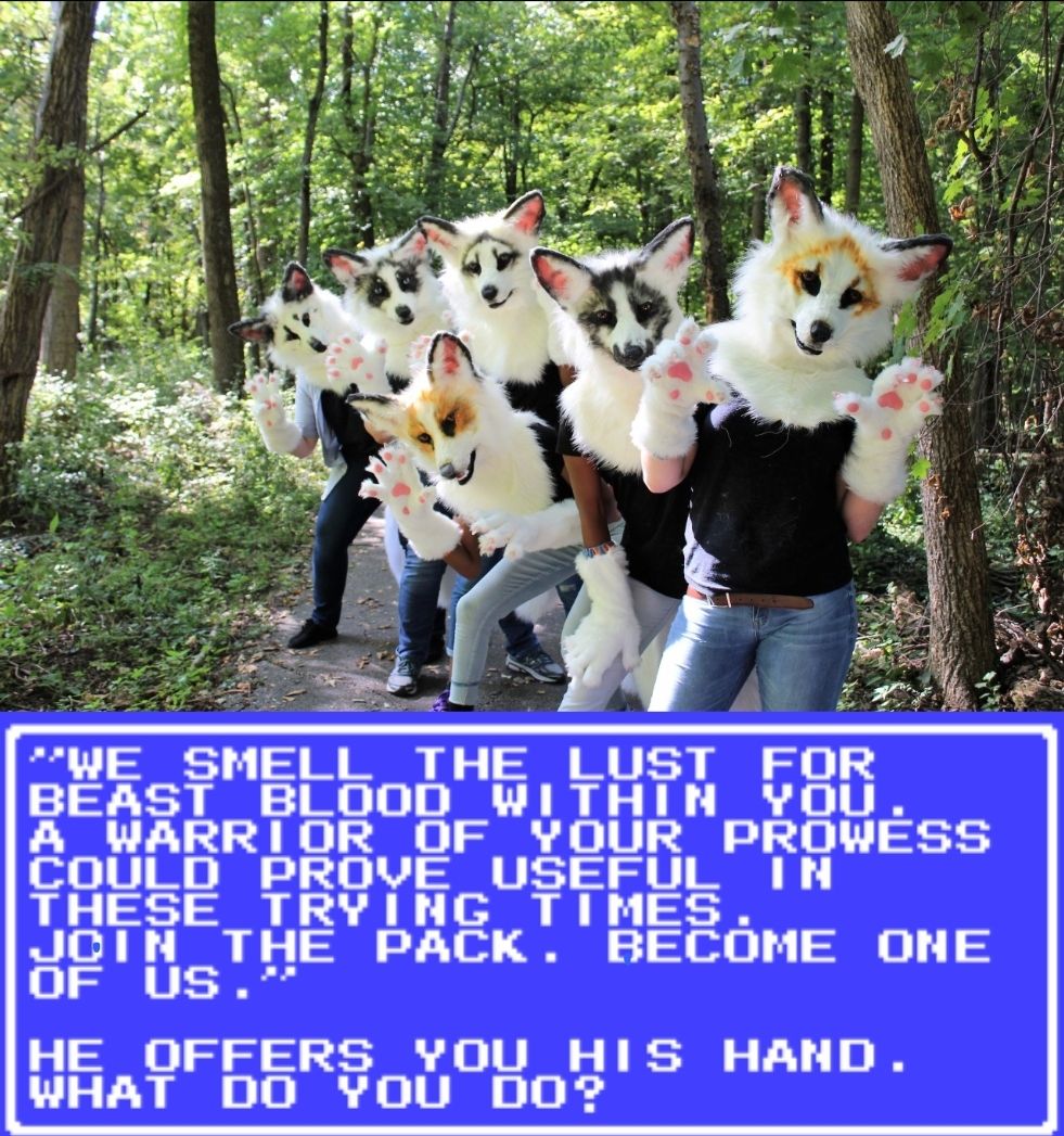 furry_irl | Scrolller