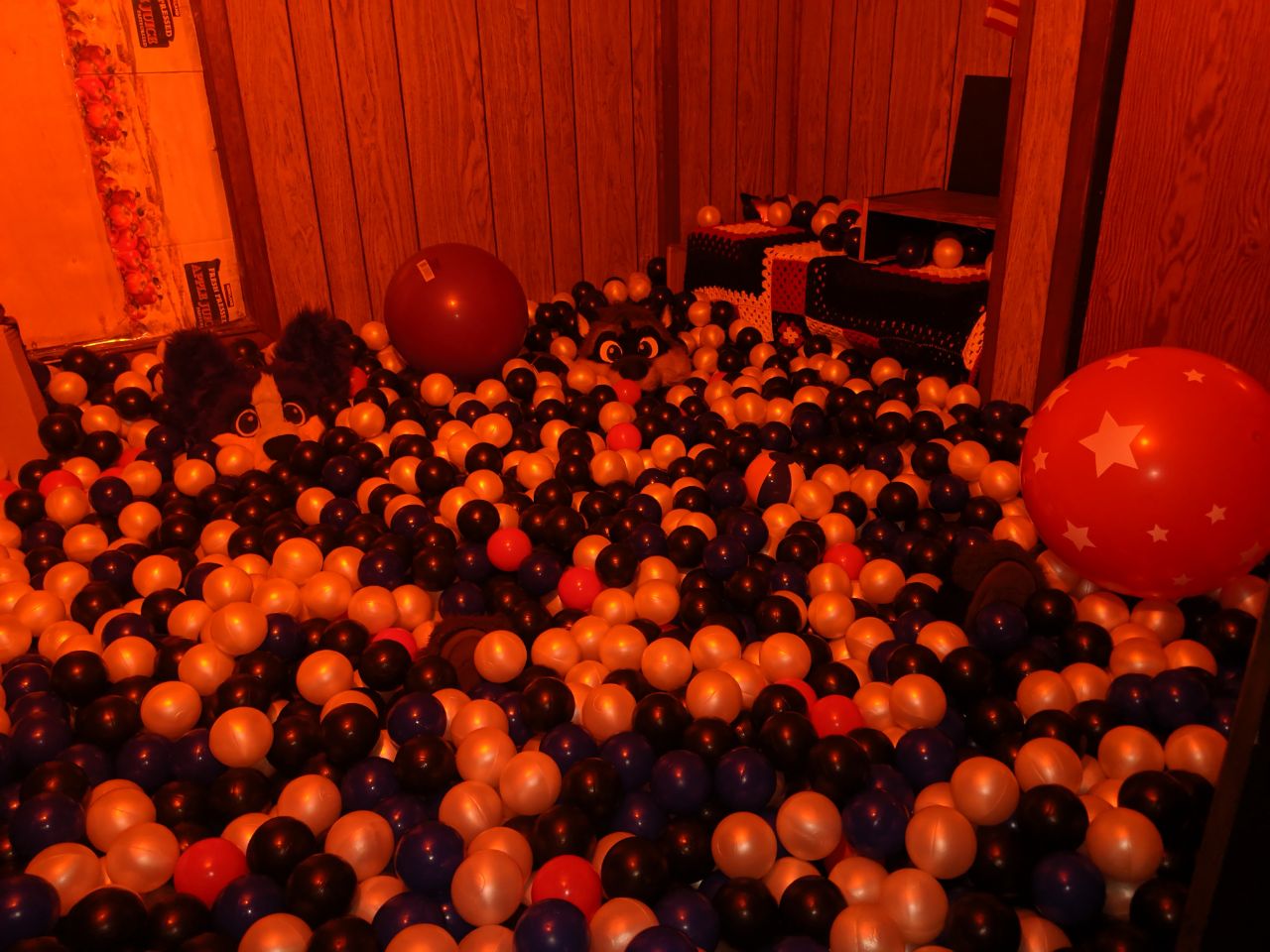 Fursed_Ball_Pit | Scrolller