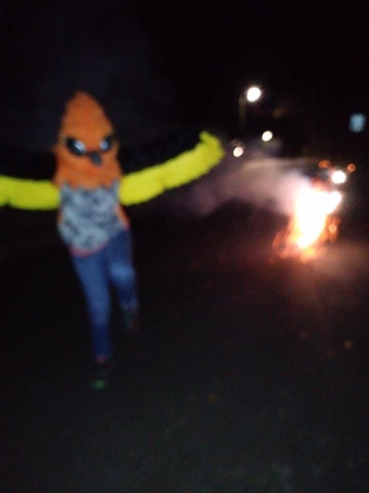 fursed_celebrate | Scrolller