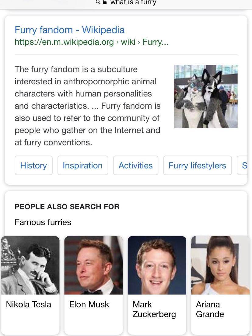 Fursed_celebrities | Scrolller