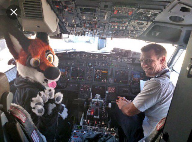 fursed_cockpit | Scrolller