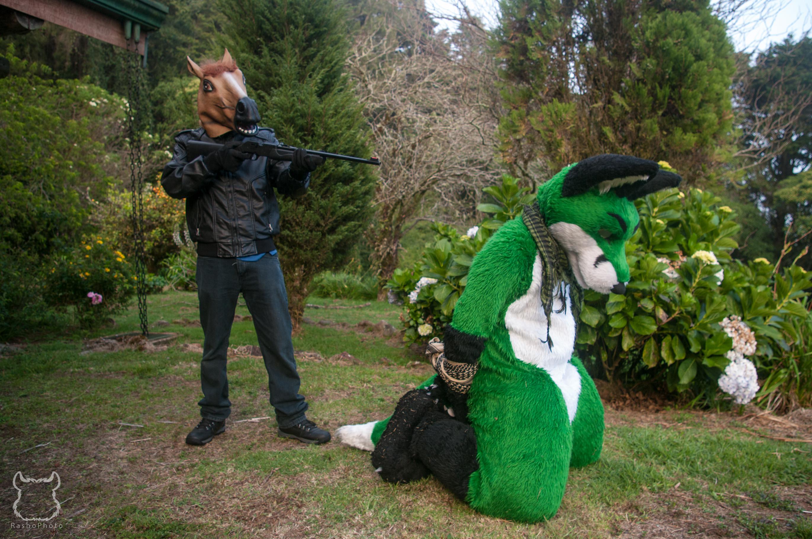 Fursed execution. | Scrolller